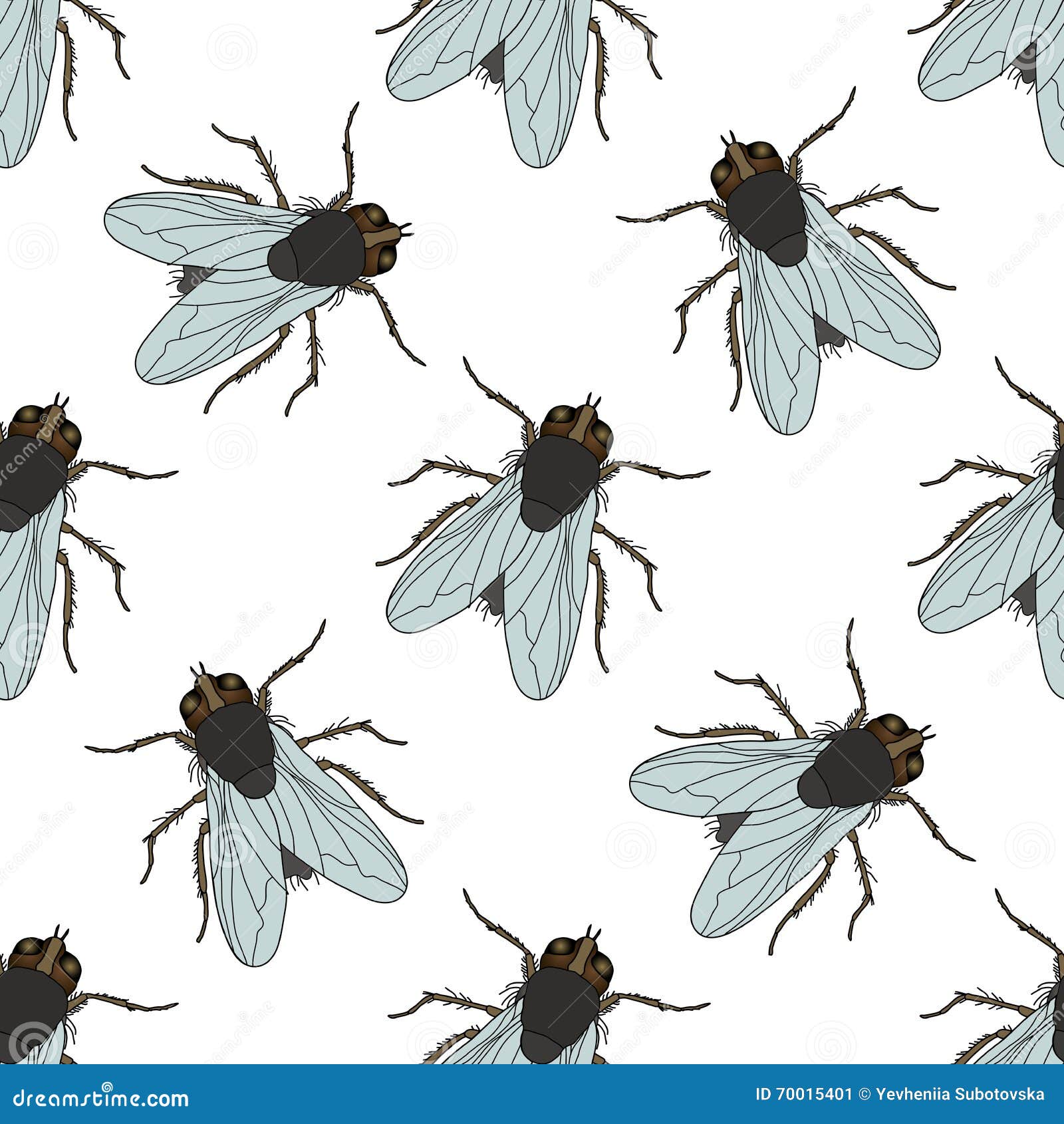 Seamless Pattern with Fly. Musca Domestica . Hand-drawn . Fly Stock ...