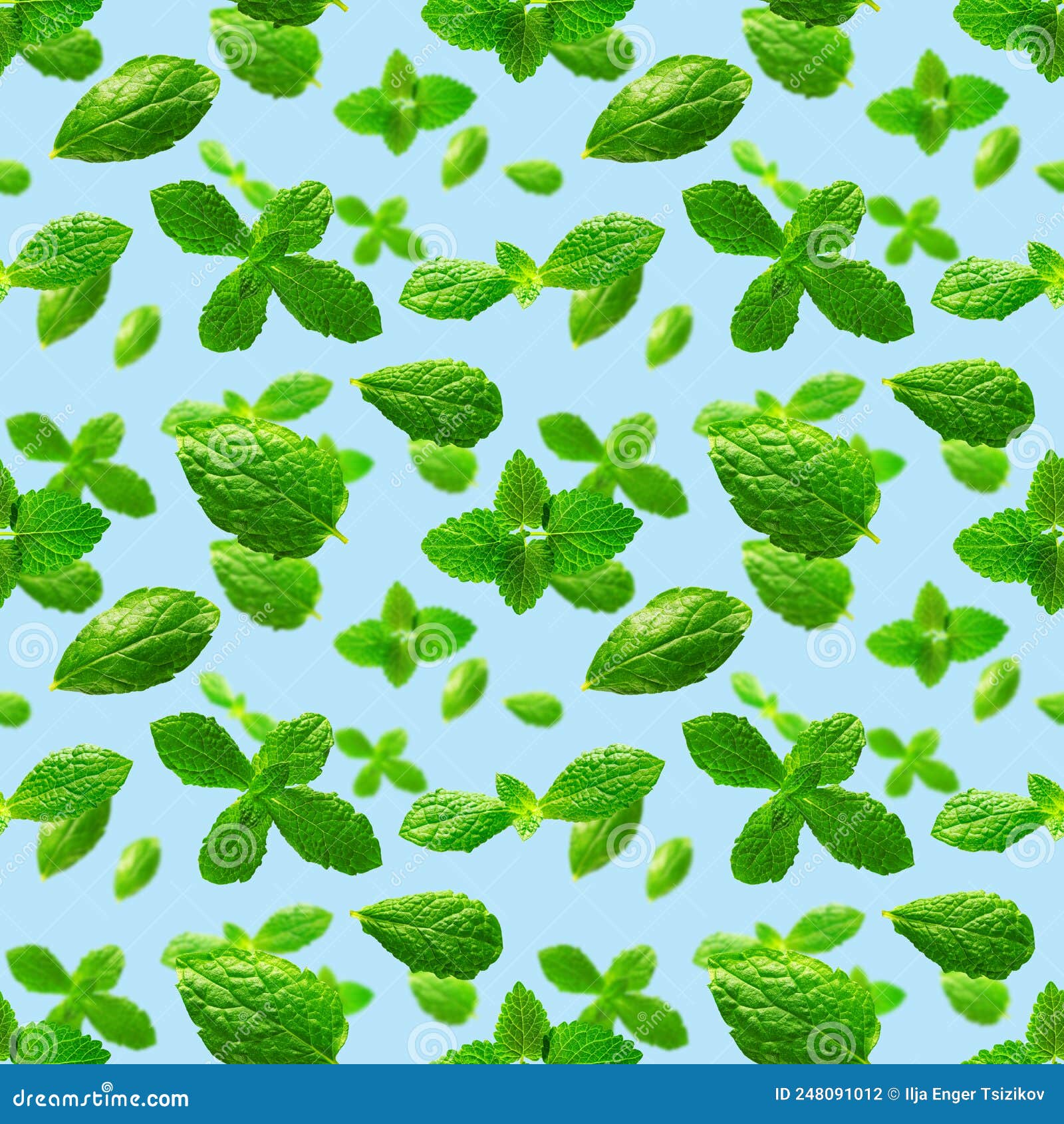 Seamless Pattern of Fresh Mint Leaves on Blue Background Stock Photo ...