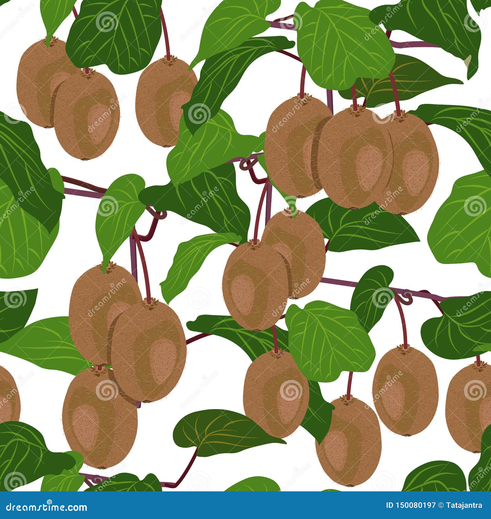 Seamless Pattern Fruit Kiwi Tree on White Background Stock Vector ...