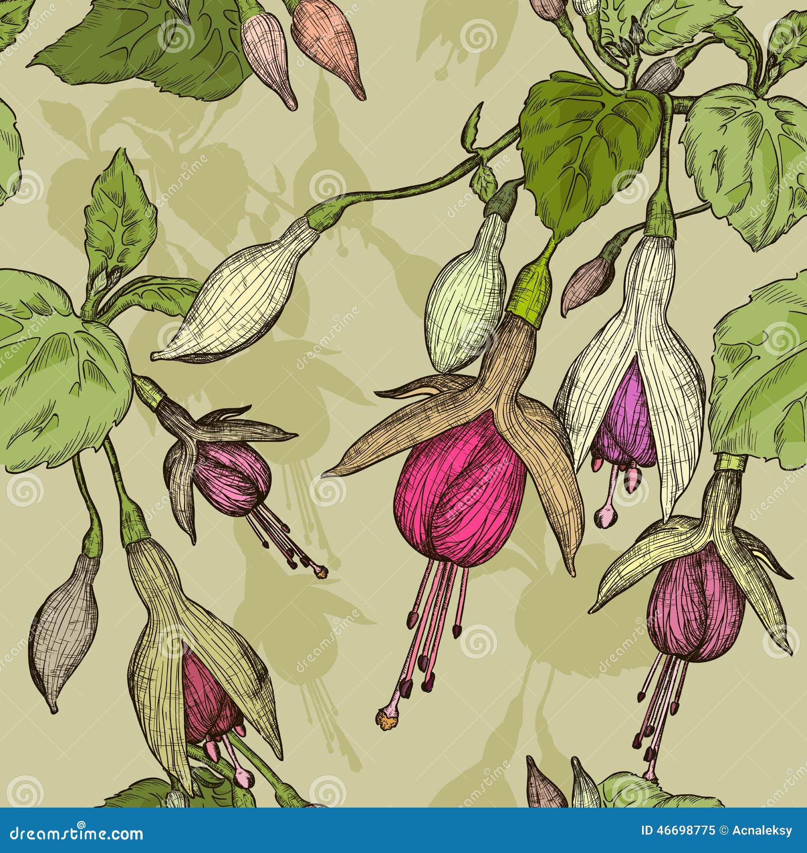 Seamless Pattern with Fuchsia Flower Stock Vector - Illustration of ...