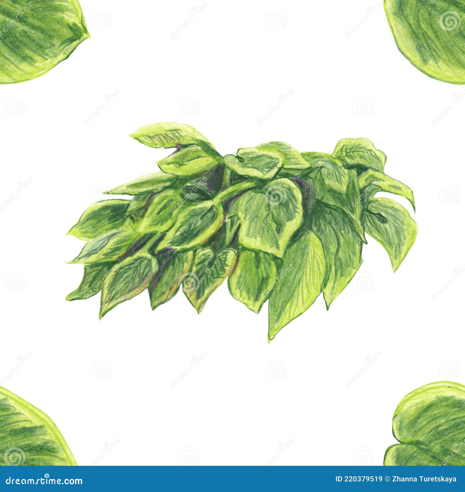 Flowering Hosta Pattern Vector Illustration | CartoonDealer.com #10008764