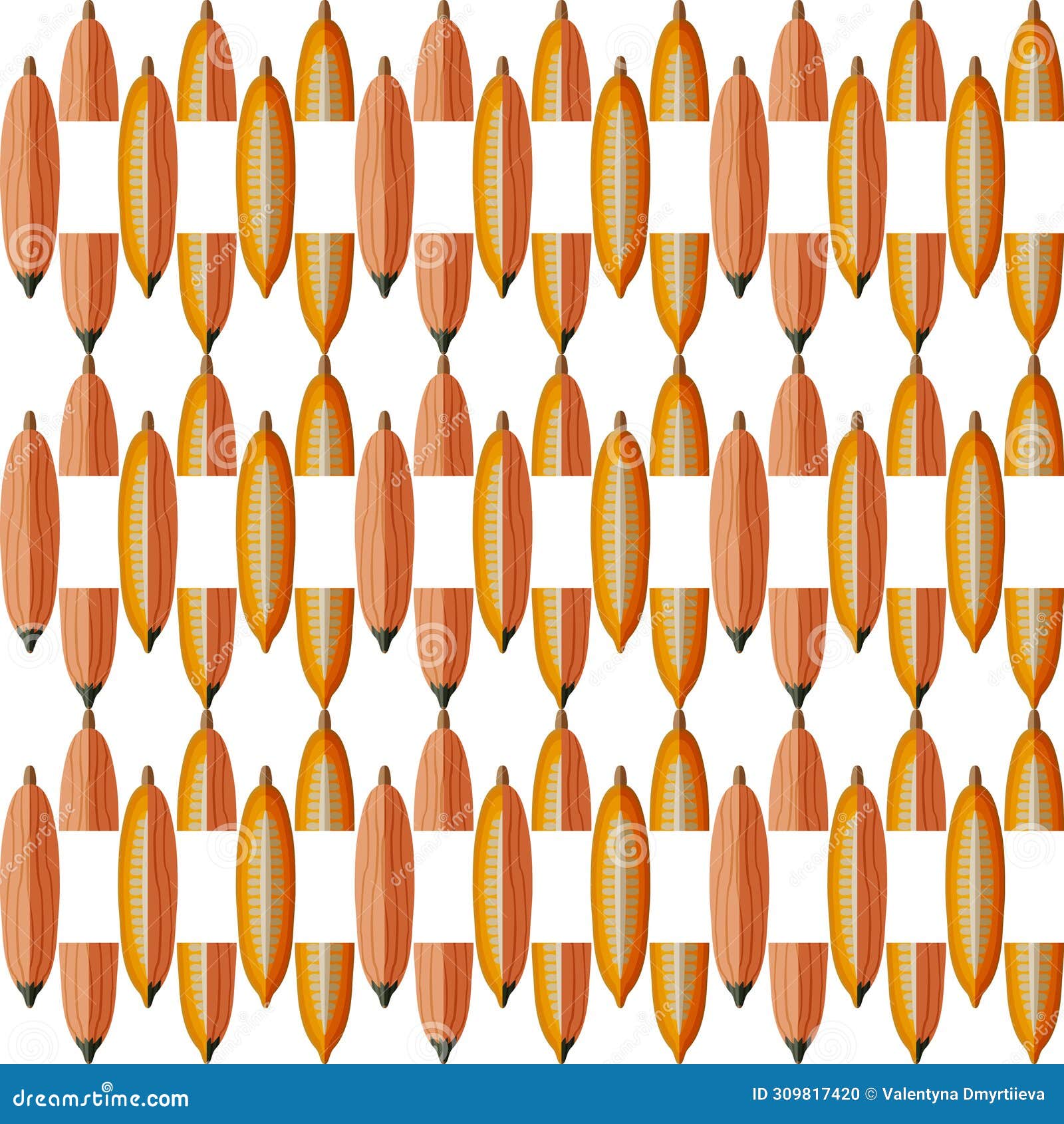 Seamless Pattern Georgia Candy Roaster Squash Stock Vector - Illustration of nature, product ...