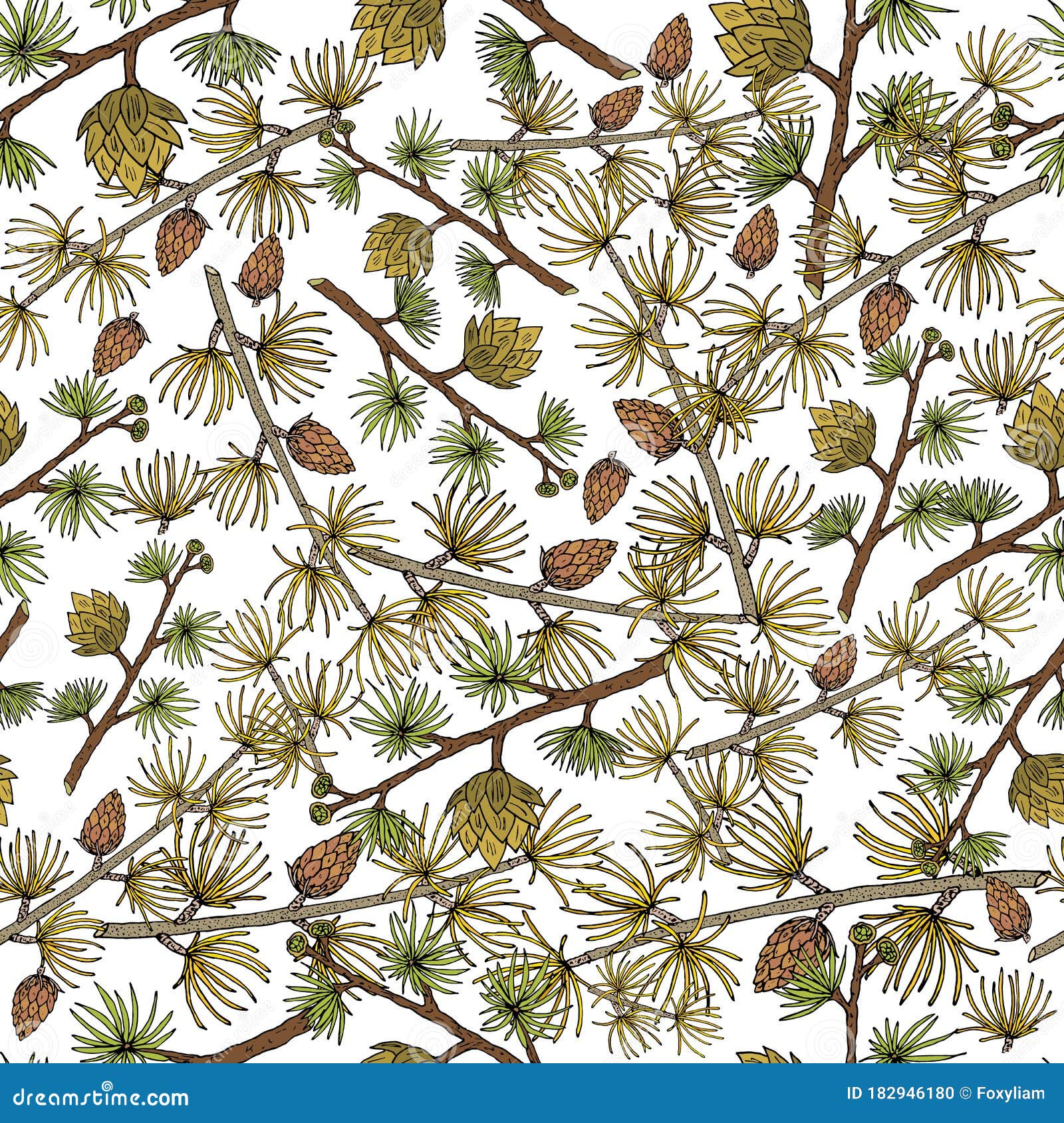 Larch Pattern. Larix Decidua Branch, Cone. Hand Drawn Chalk Botanical ...