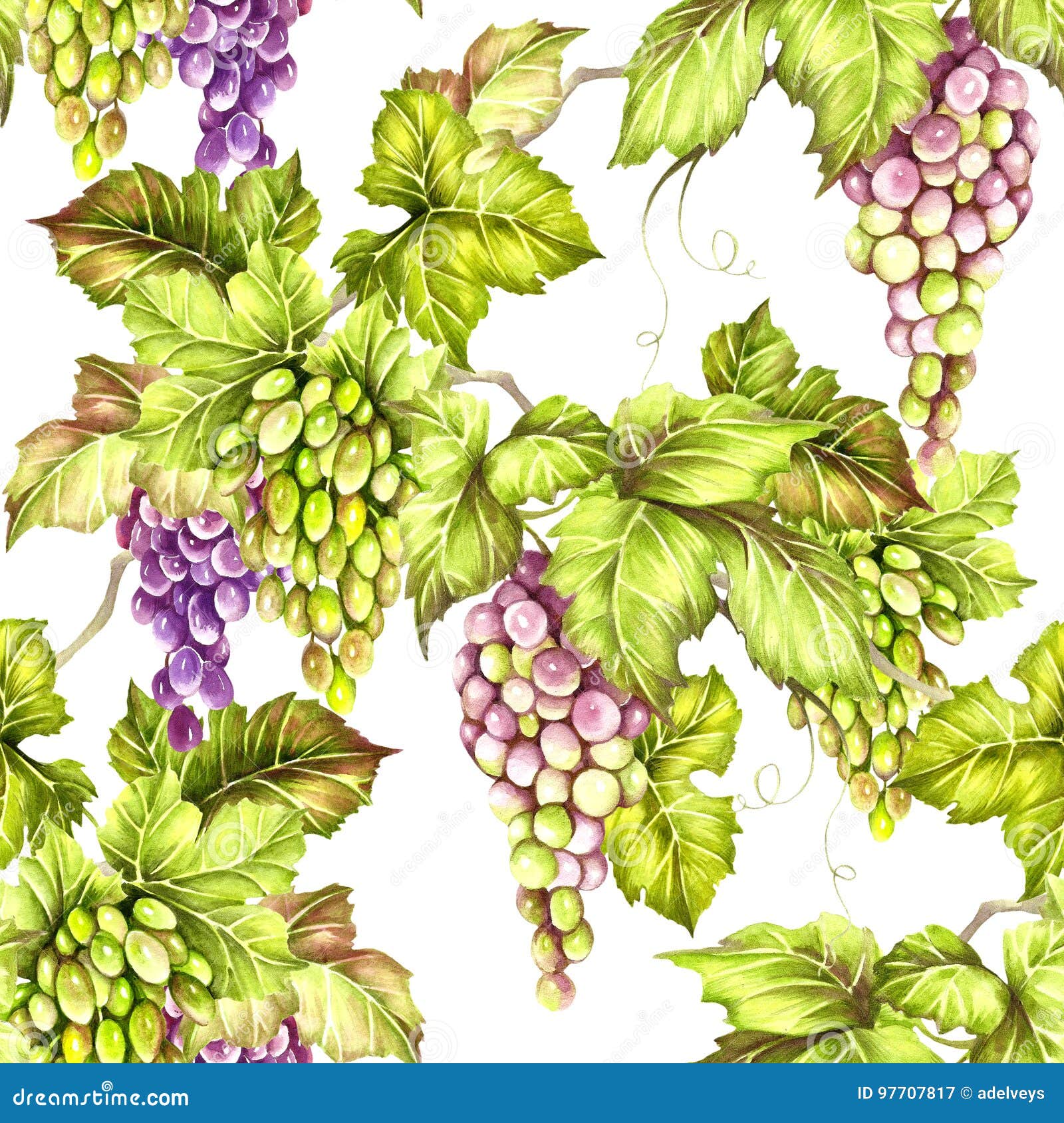 Seamless Pattern with Grapes. Hand Draw Watercolor Illustration Stock ...