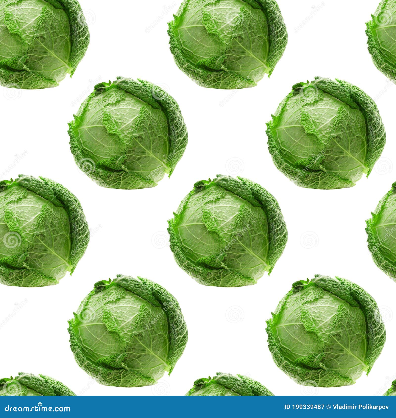 Seamless Pattern of Green Cabbage Isolated on White Background Stock Image - Image of seamless ...