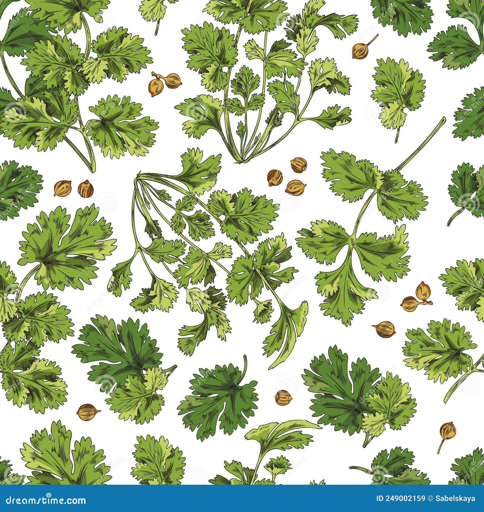 Seamless Pattern, Green Coriander Branches and Leaves, Vector Sketch ...