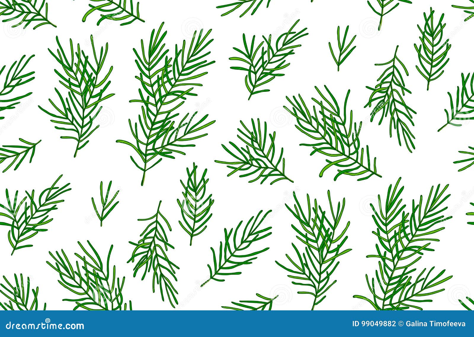 Seamless Pattern of Green Spruce Branches on a White Background. Stock ...