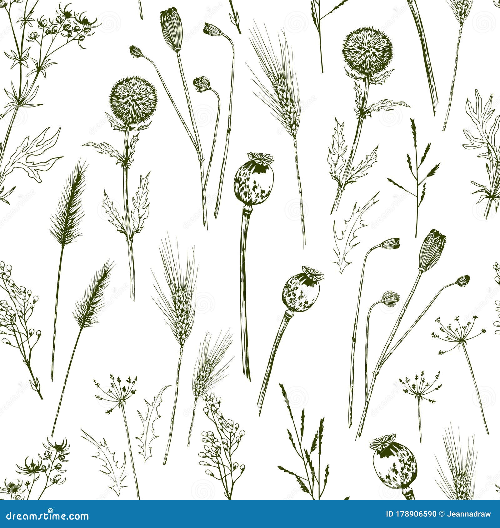 Poppy Seed Boxes Garden Stock Illustrations – 13 Poppy Seed Boxes ...