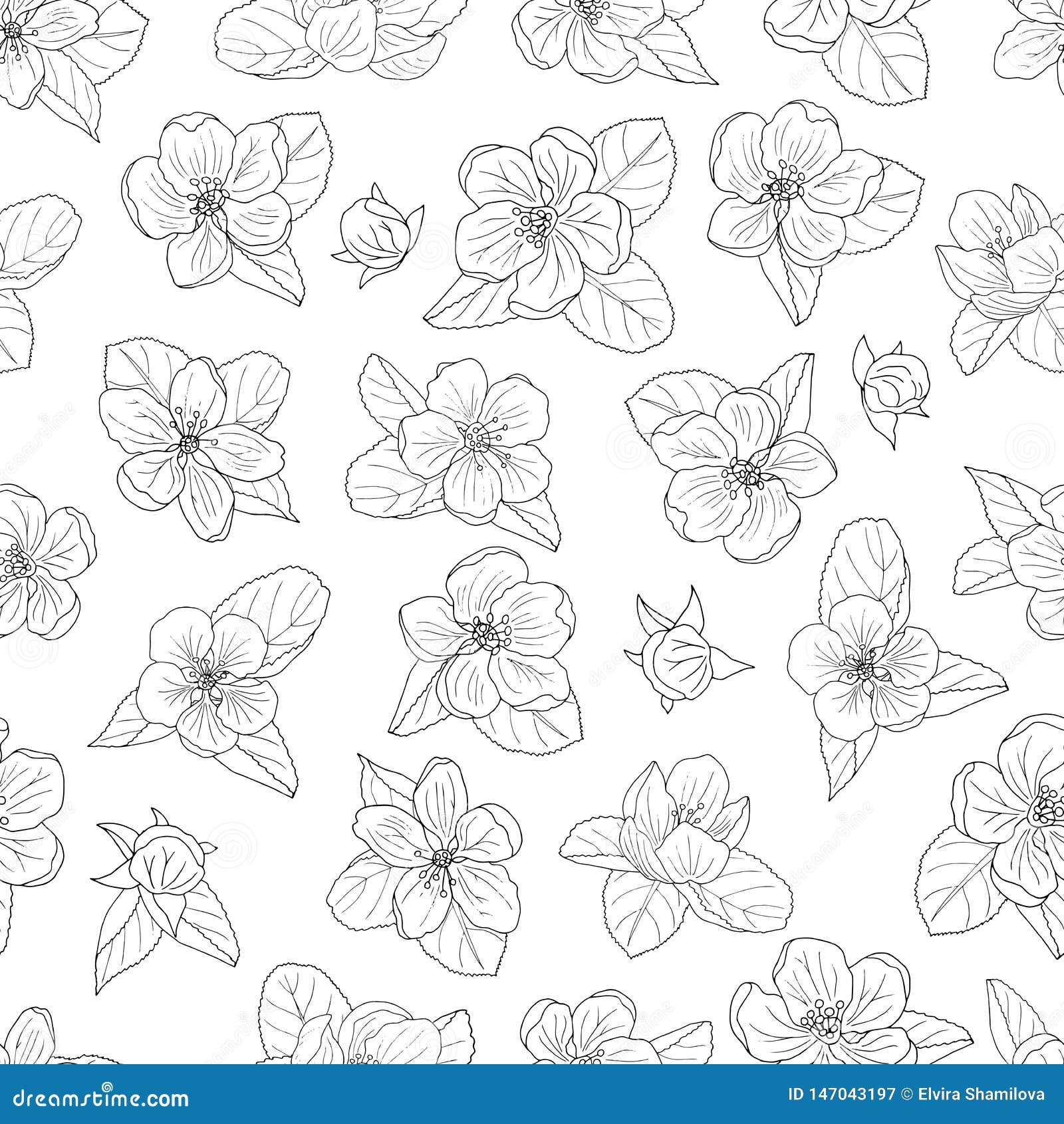 Seamless Pattern Of Hand Drawn Apple Blossom Coloring Page Stock