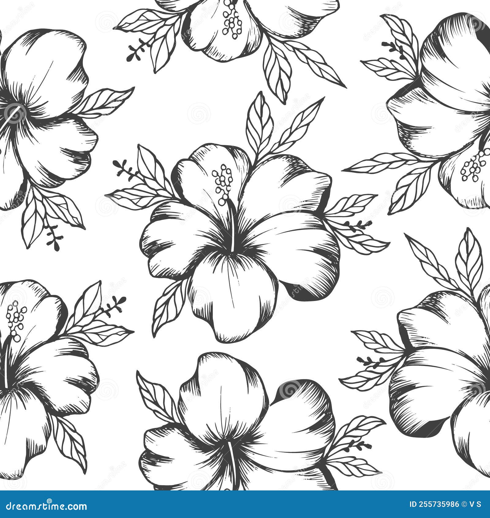 Seamless Pattern, Hand Drawn Black Outline Hibiscus Flowers. Retro ...