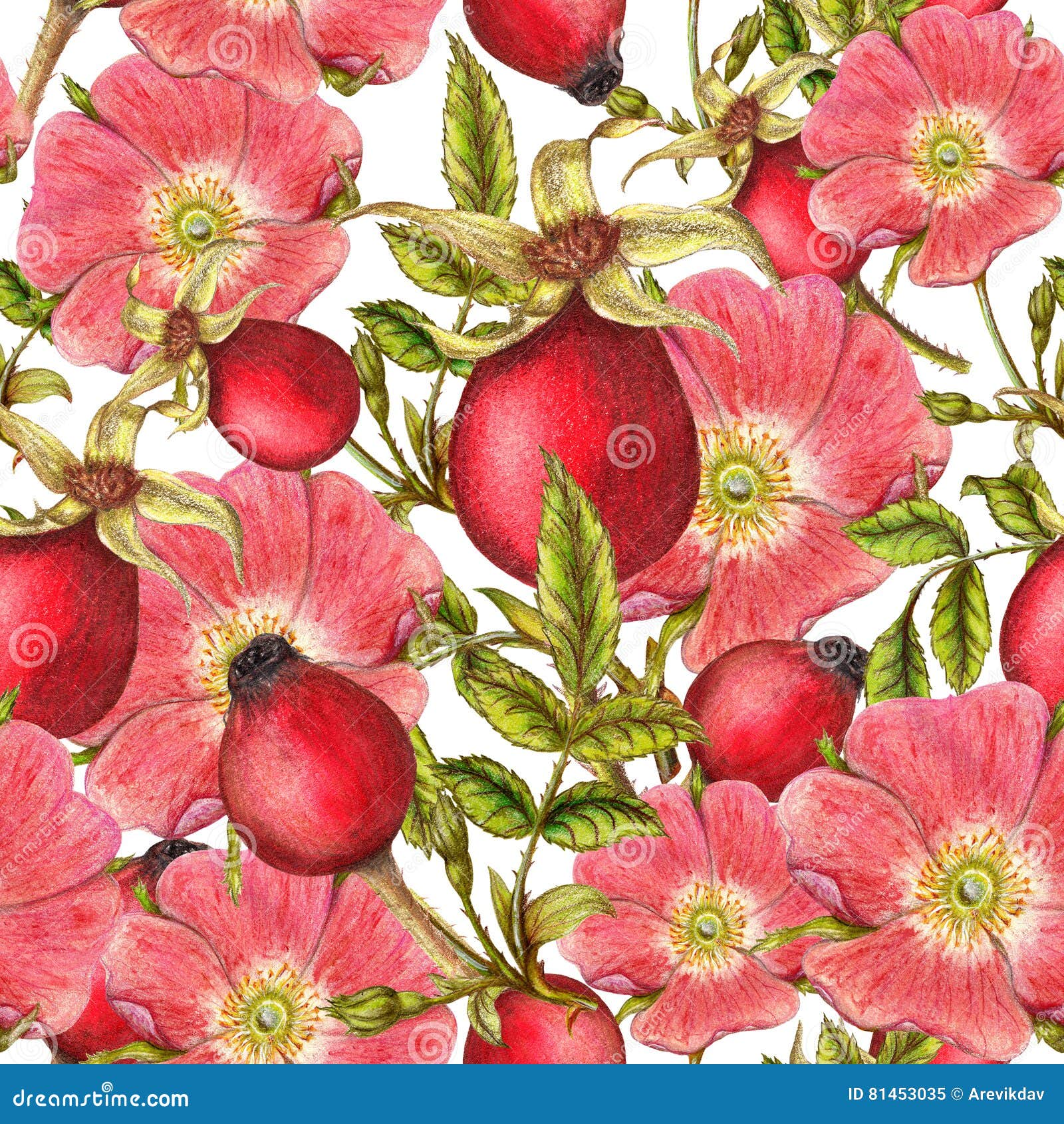 Seamless Pattern of Hand Drawn Briar Stock Illustration - Illustration ...