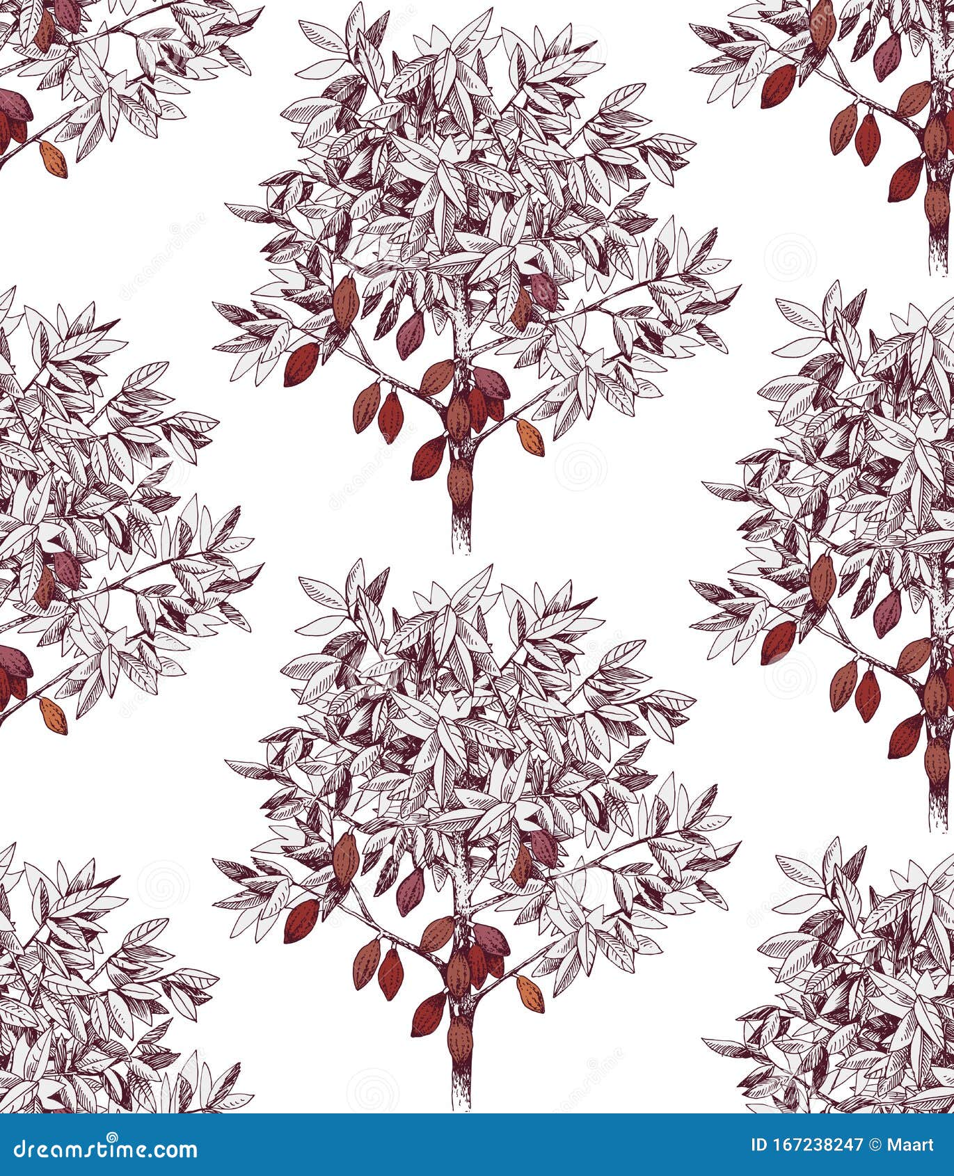 Seamless Pattern with Hand Drawn Cocoa Trees Stock Vector ...