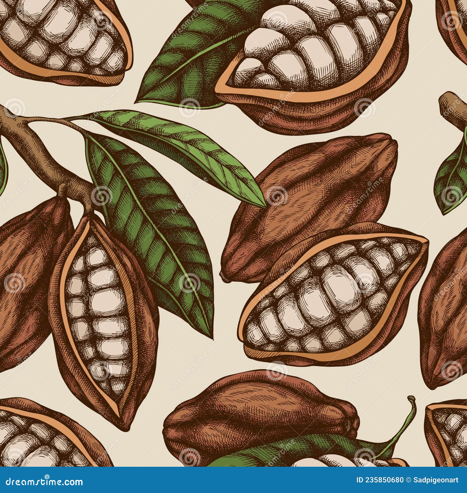 Seamless Pattern with Hand Drawn Colored Cocoa Stock Vector ...