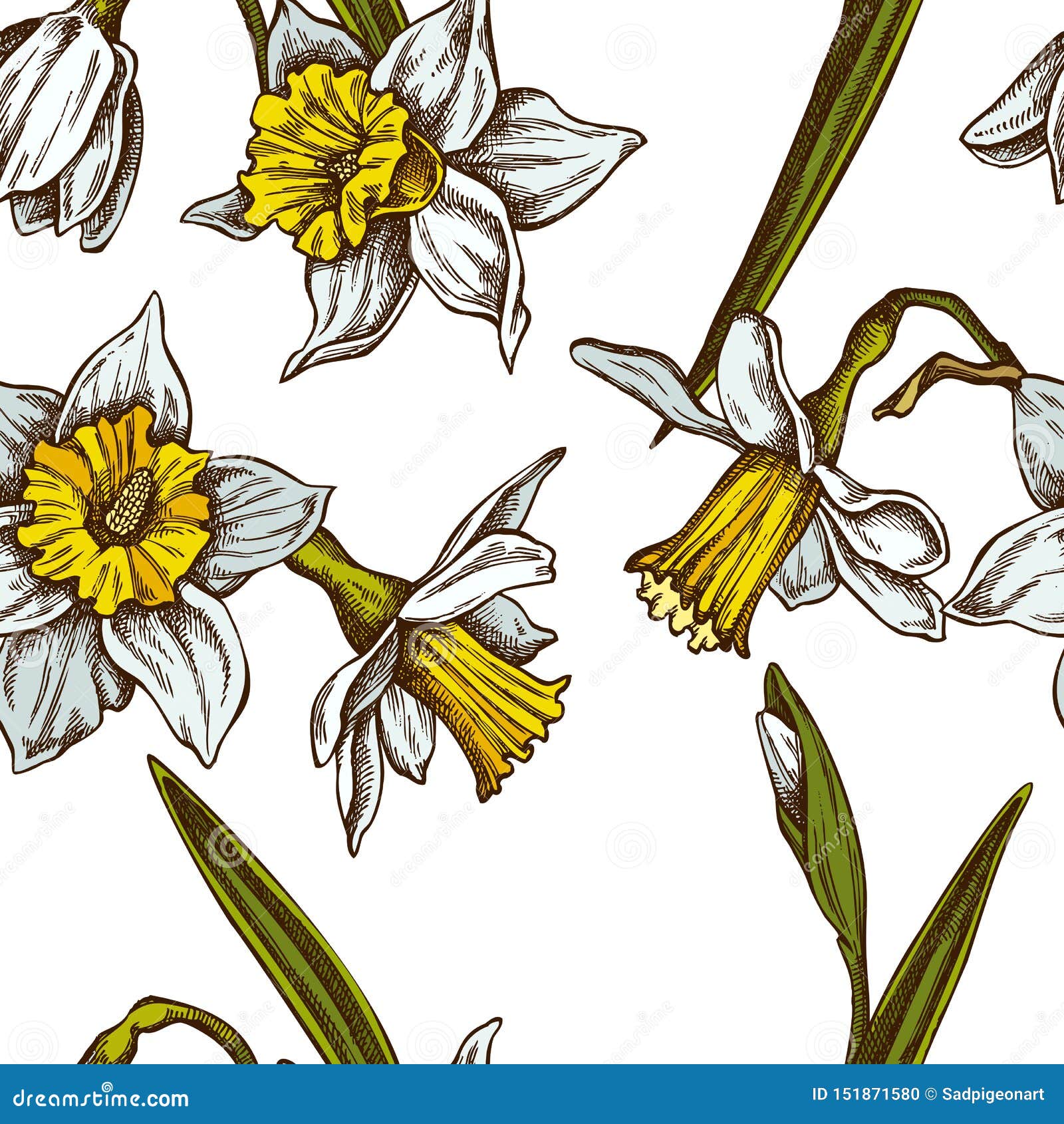 Seamless Pattern with Hand Drawn Colored Daffodil Stock Vector ...