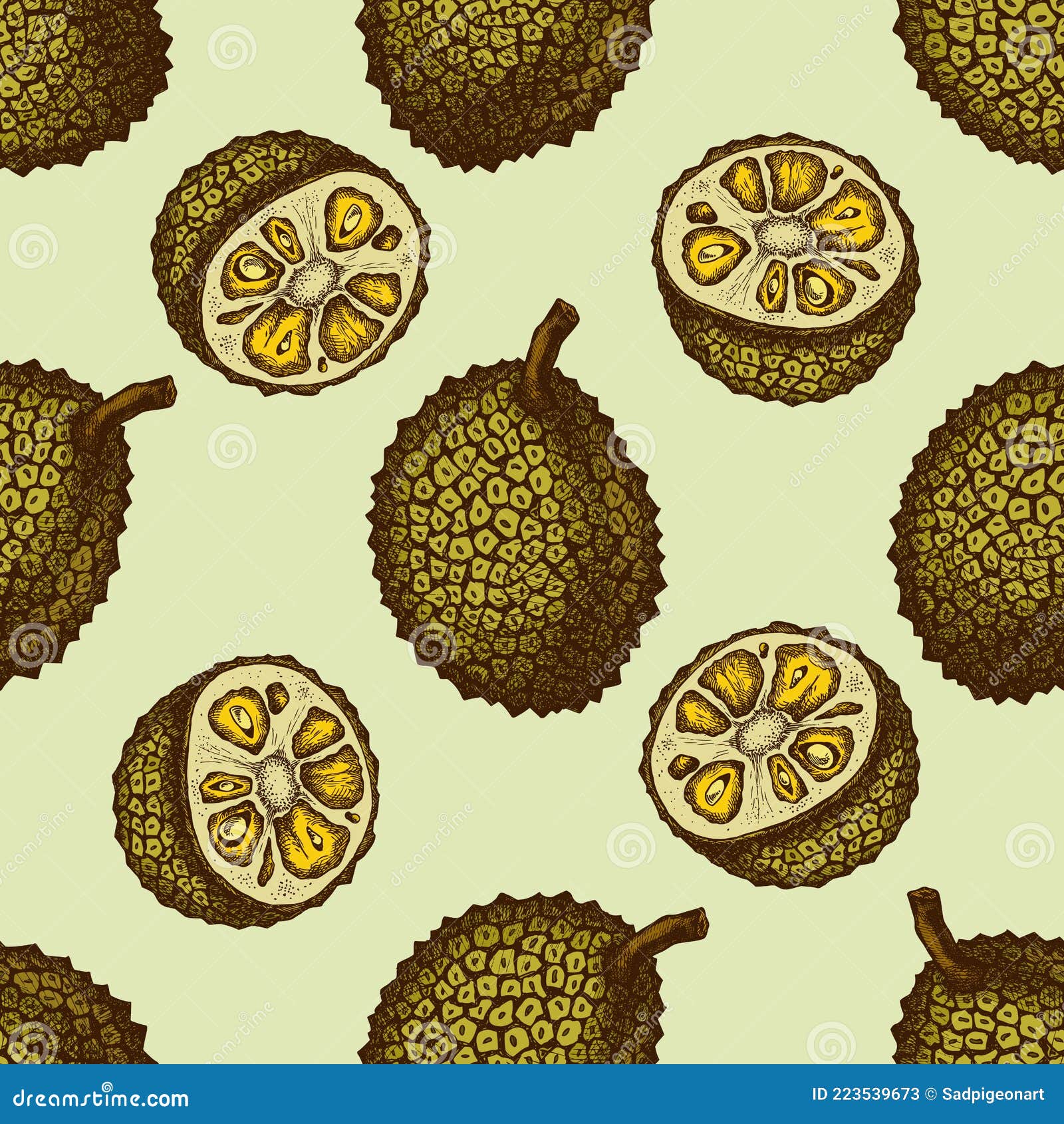 Seamless Pattern with Hand Drawn Colored Jackfruit Stock Vector ...