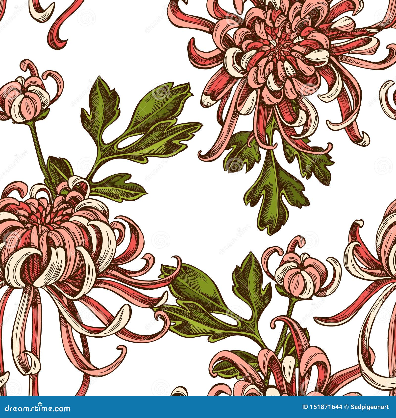 Seamless Pattern with Hand Drawn Colored Japanese Chrysanthemum Stock ... Seamless Pattern with Hand Drawn Colored Japanese Chrysanthemum Stock ...