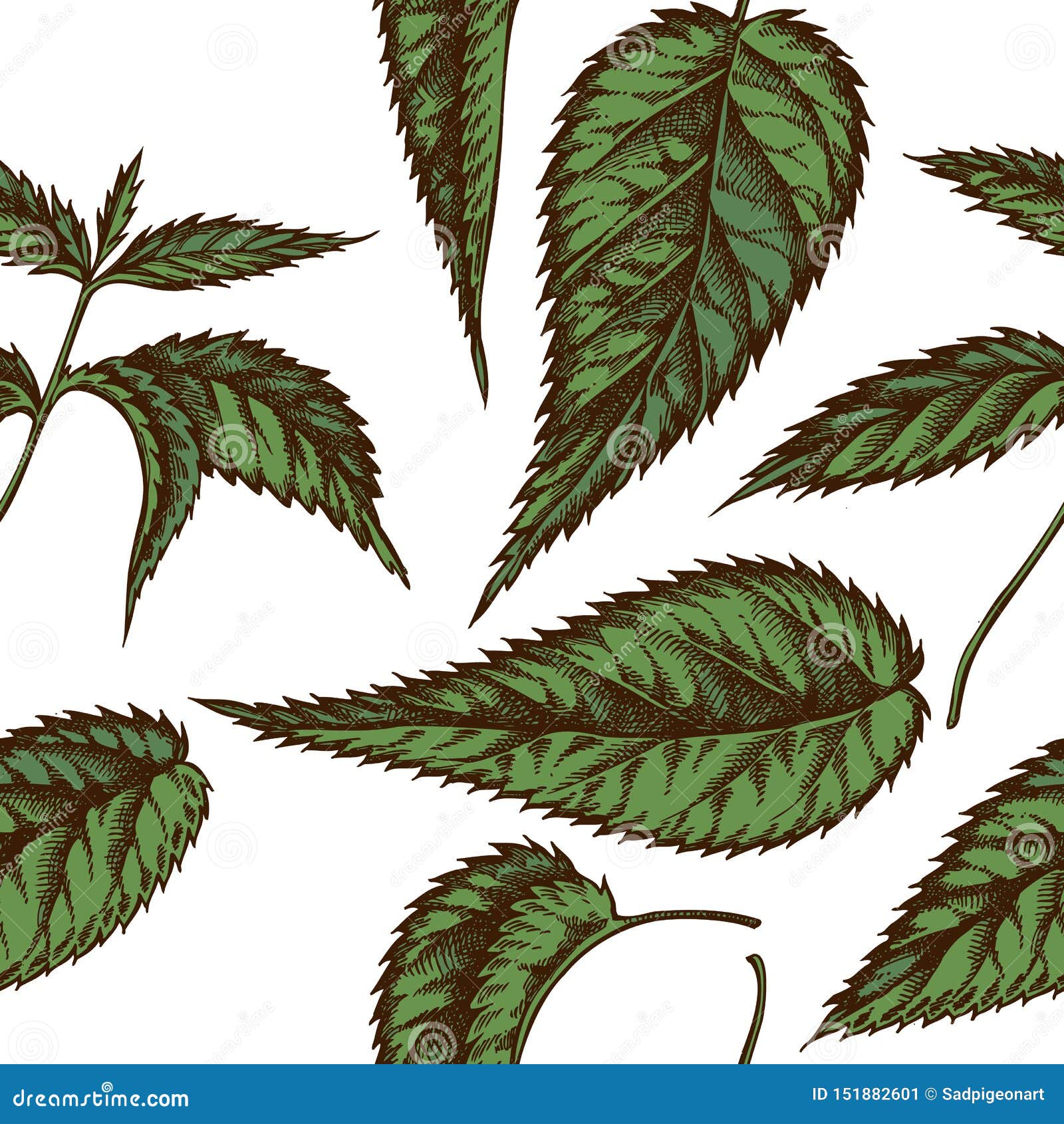 Seamless Pattern with Hand Drawn Colored Nettle Stock Vector ...