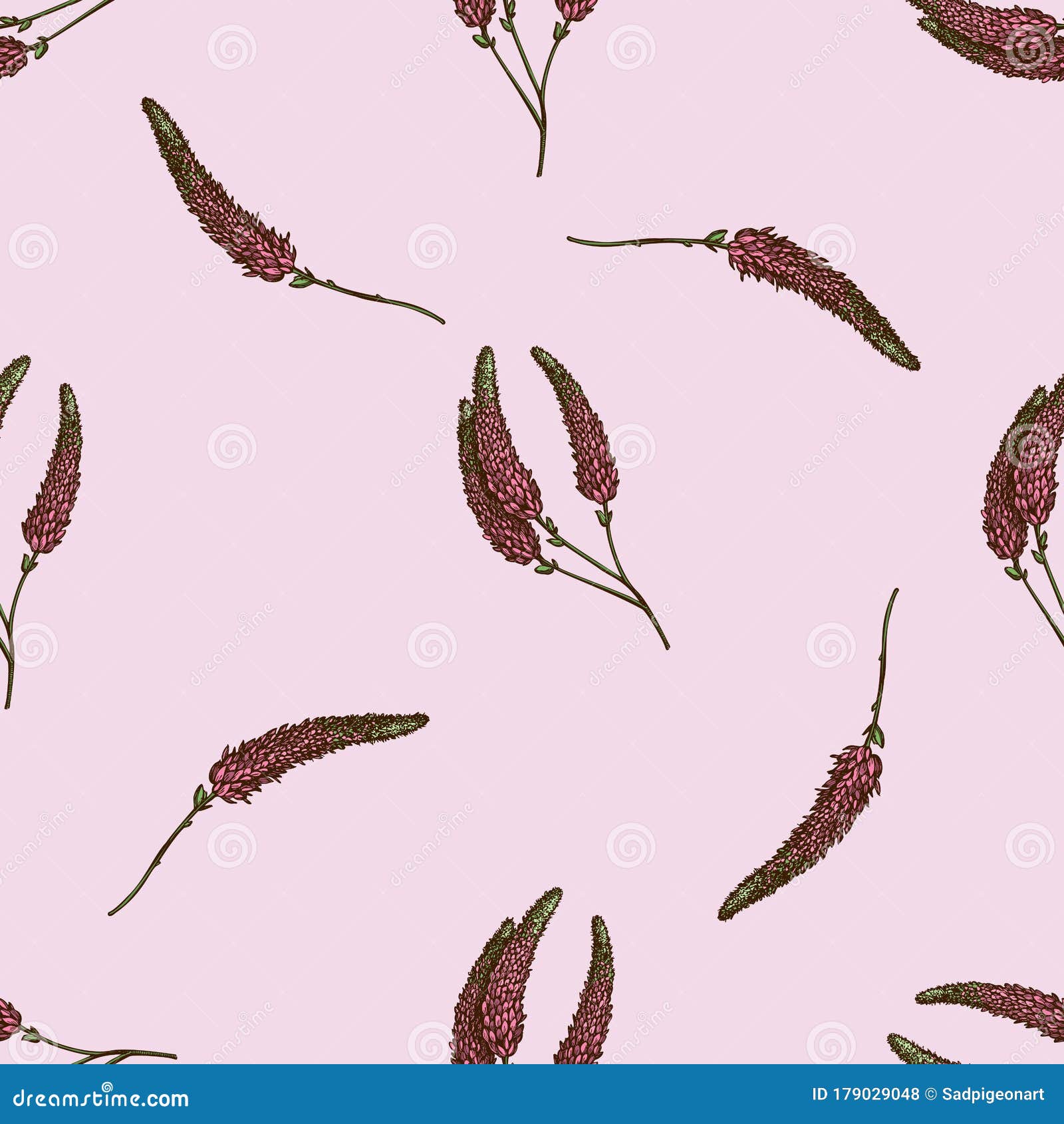 Seamless Pattern with Hand Drawn Colored Veronica Stock Vector ...