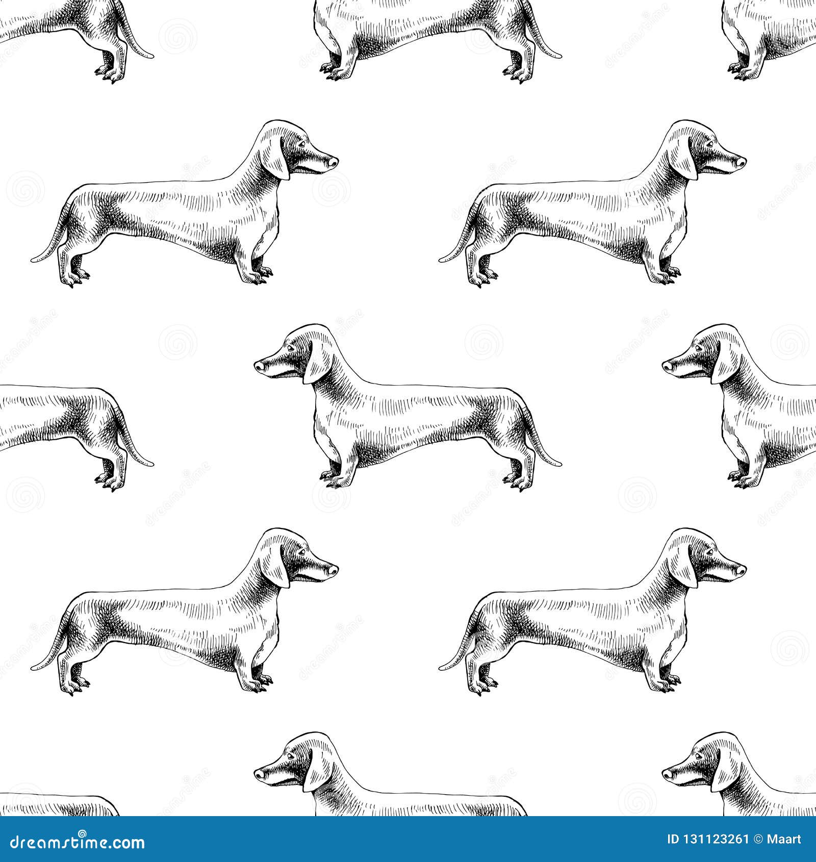 Seamless Pattern with Hand Drawn Dachshunds Stock Vector - Illustration ...