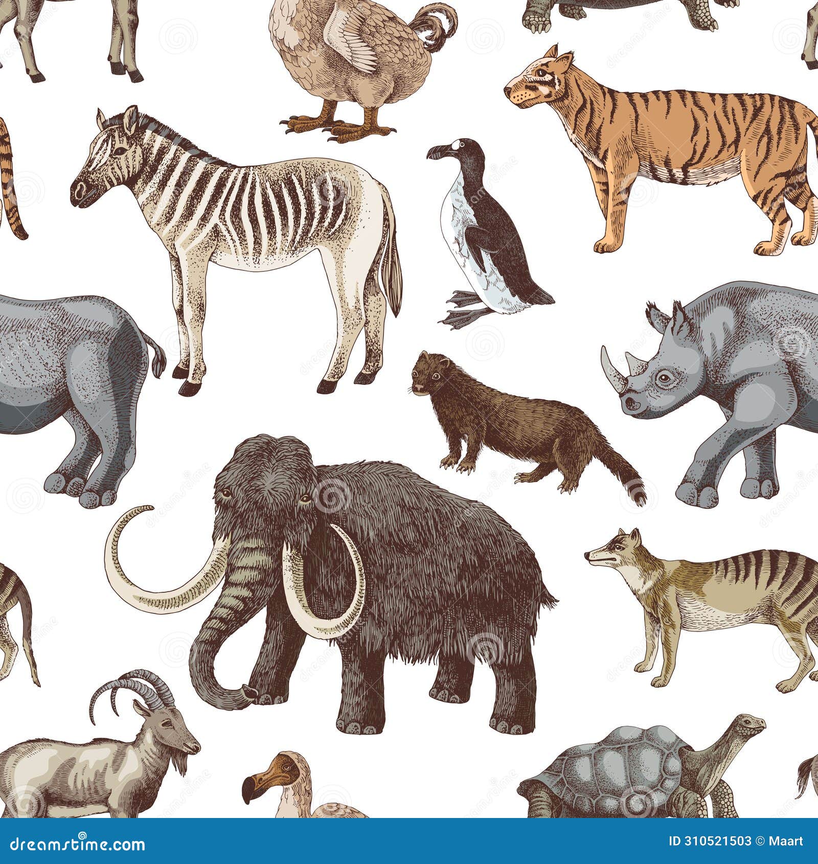 Extinct Animals. Saber-tooth Cat. Prehistoric Extinct American Tiger ...