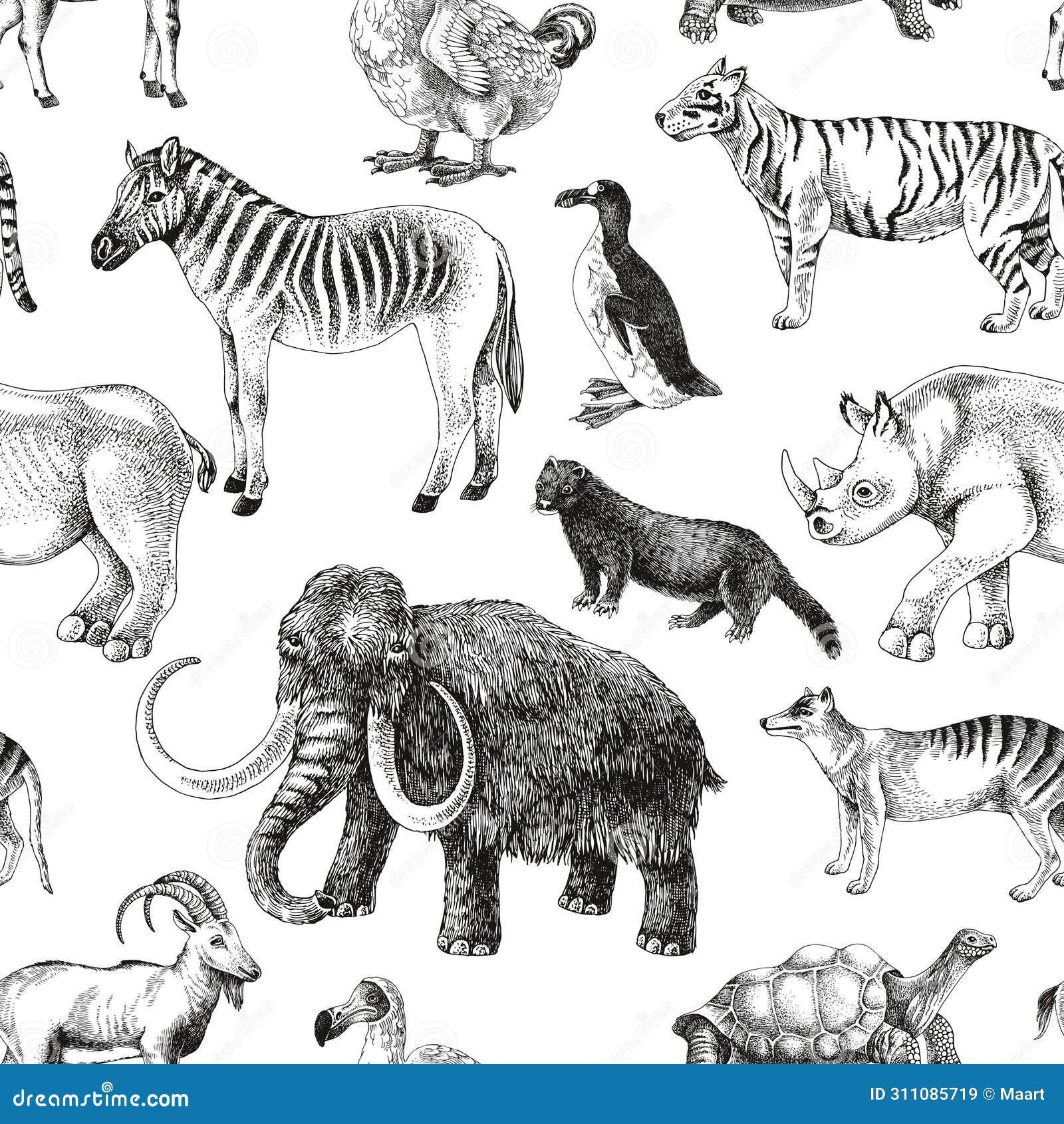 Extinct Animals. Saber-tooth Cat. Prehistoric Extinct American Tiger ...