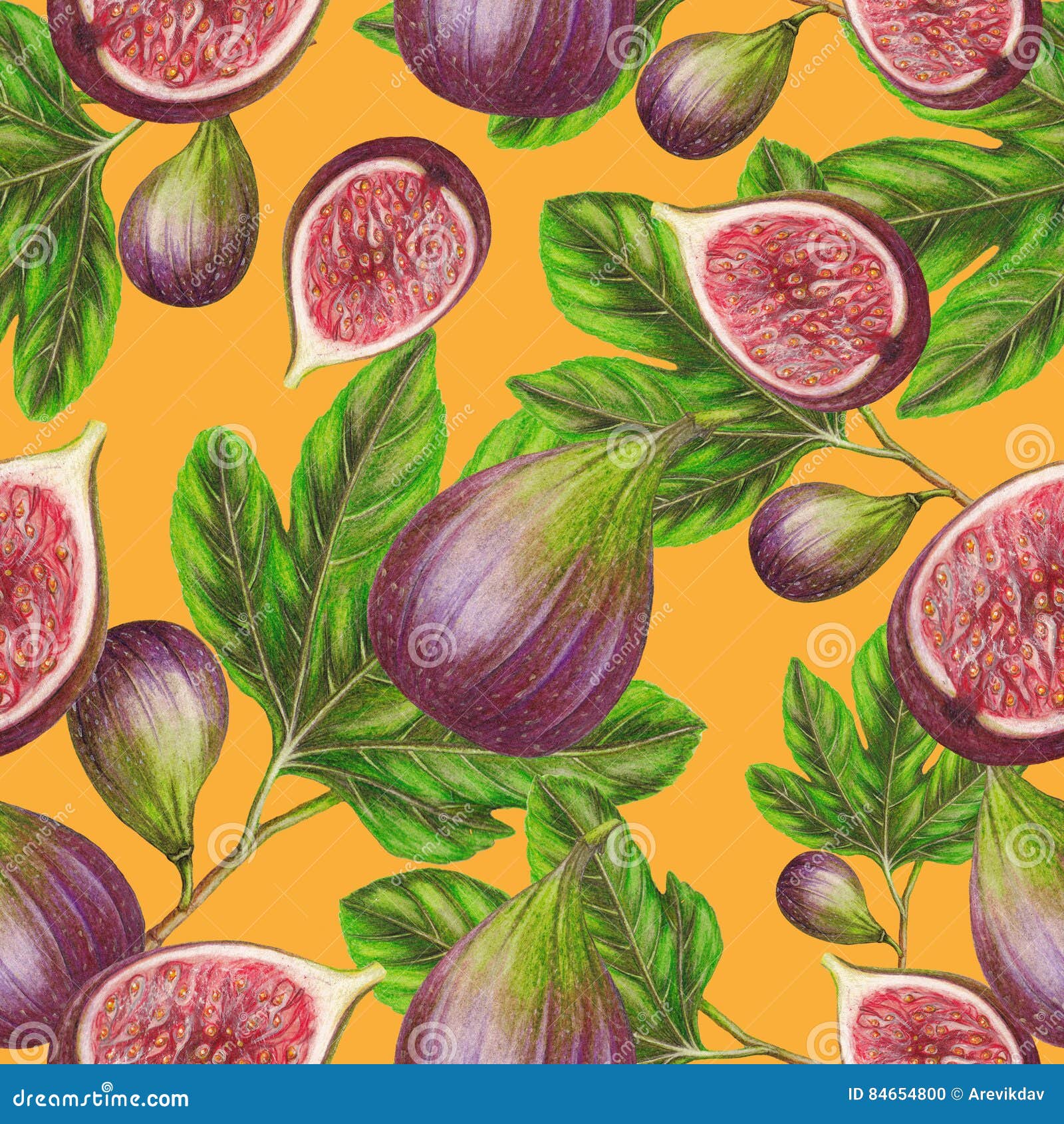 Seamless Pattern of Hand Drawn Figs Stock Illustration - Illustration ...