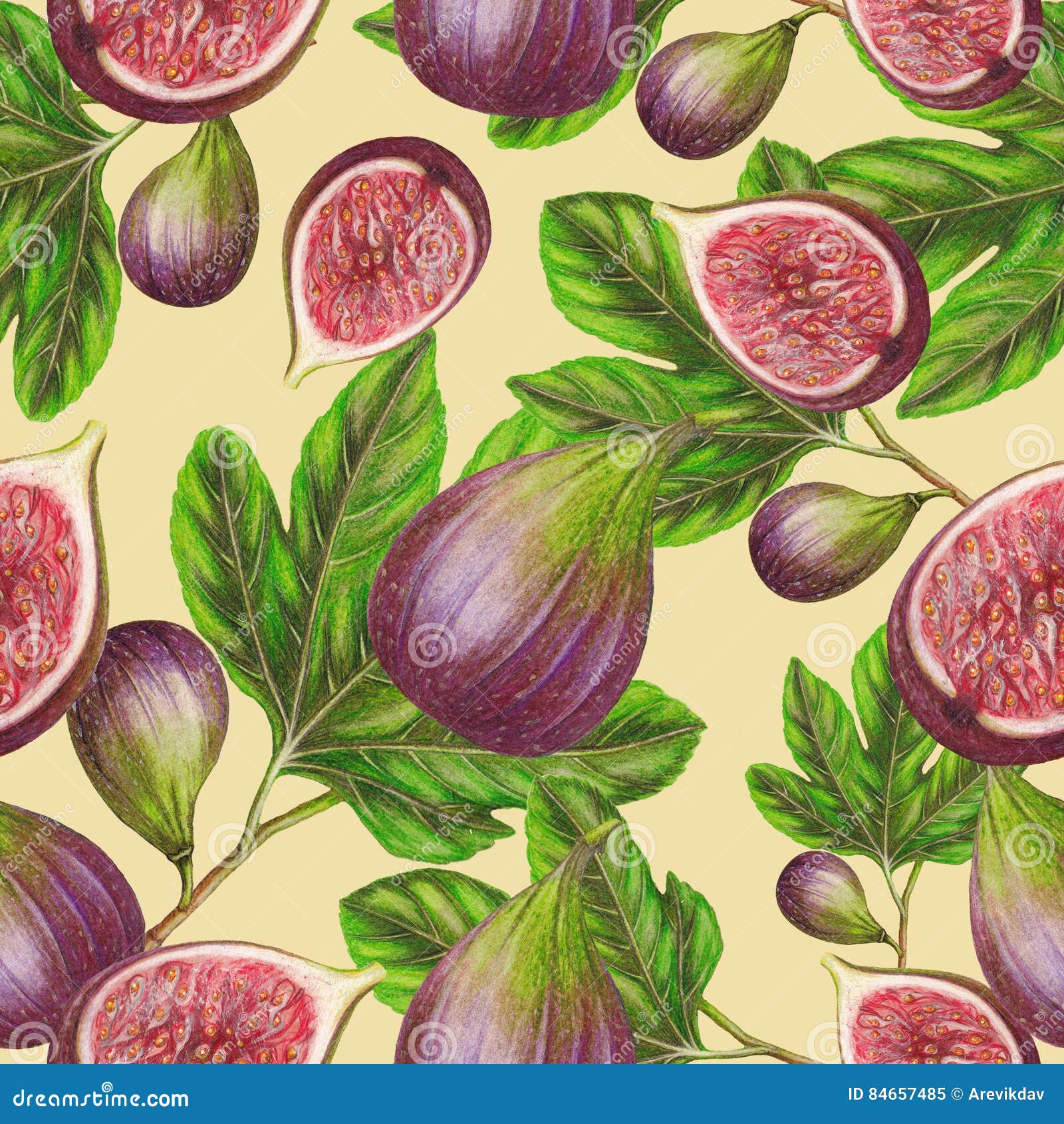 Seamless Pattern of Hand Drawn Figs Stock Illustration - Illustration ...