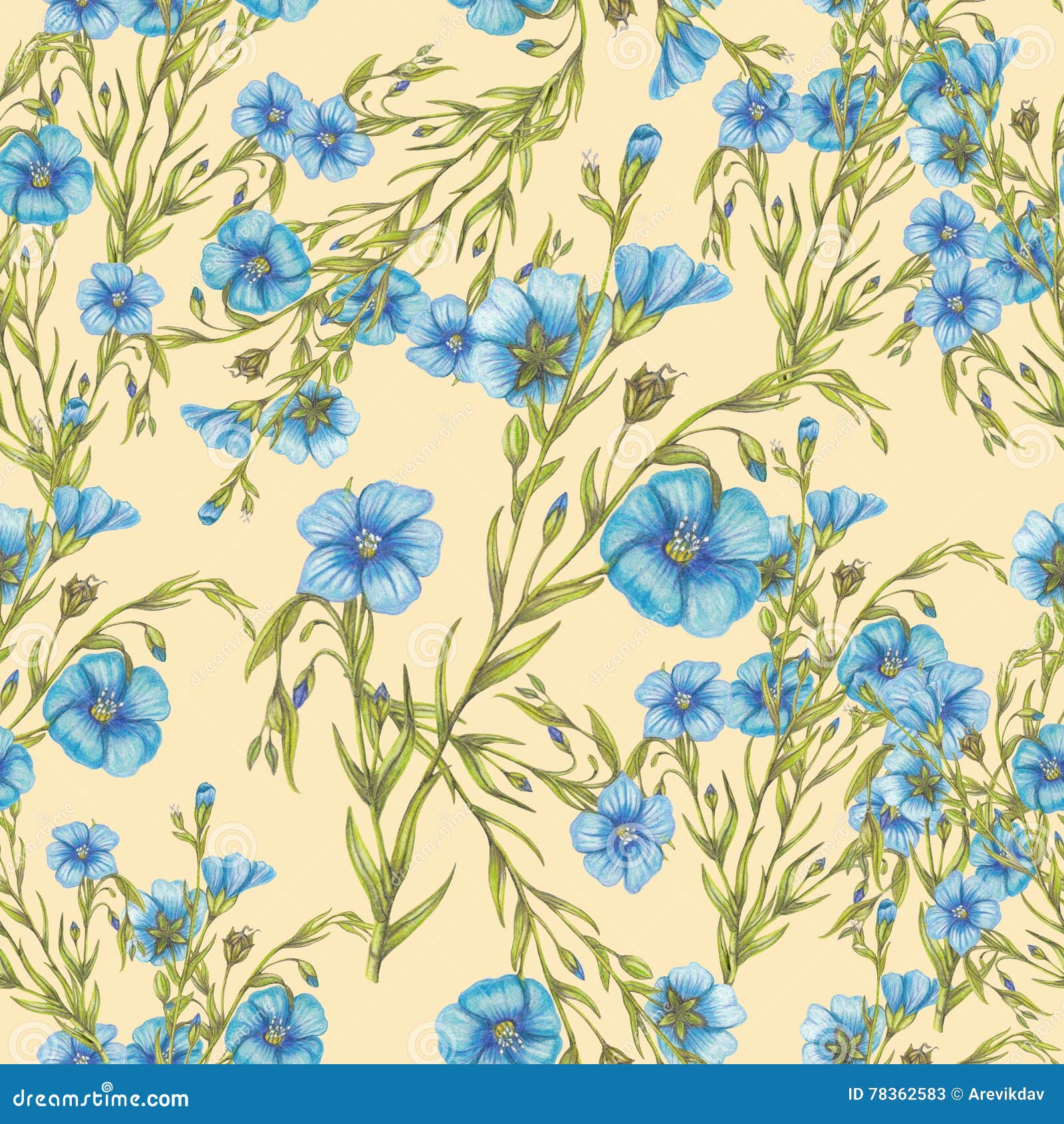 Seamless Pattern of Hand Drawn Flax Stock Illustration - Illustration ...