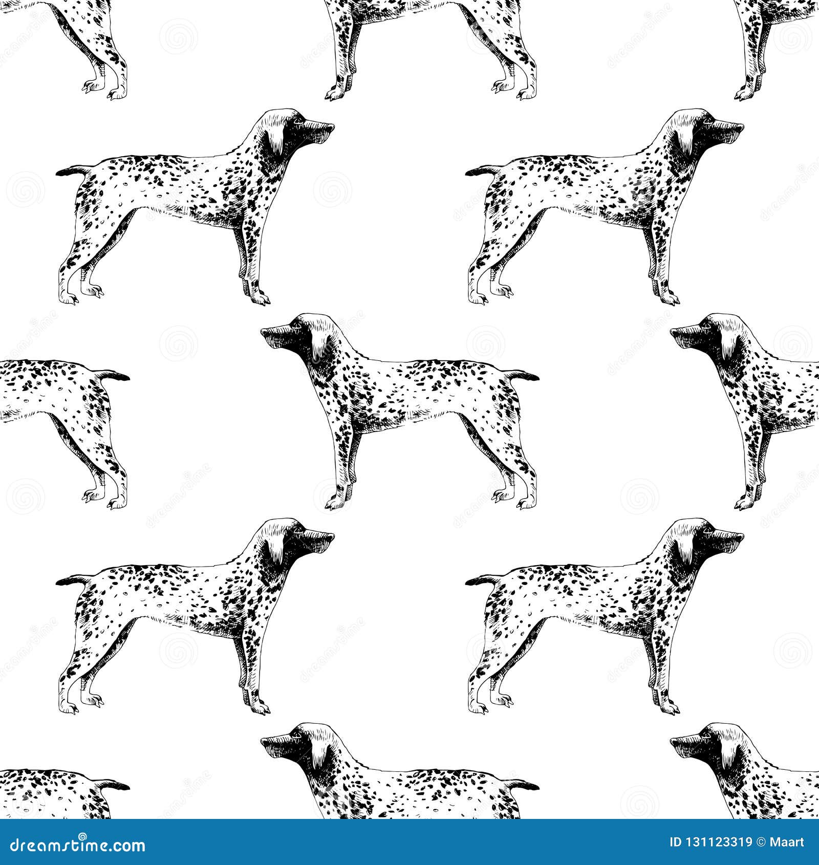 Seamless Pattern with Hand Drawn German Shorthaired Pointers Stock ...