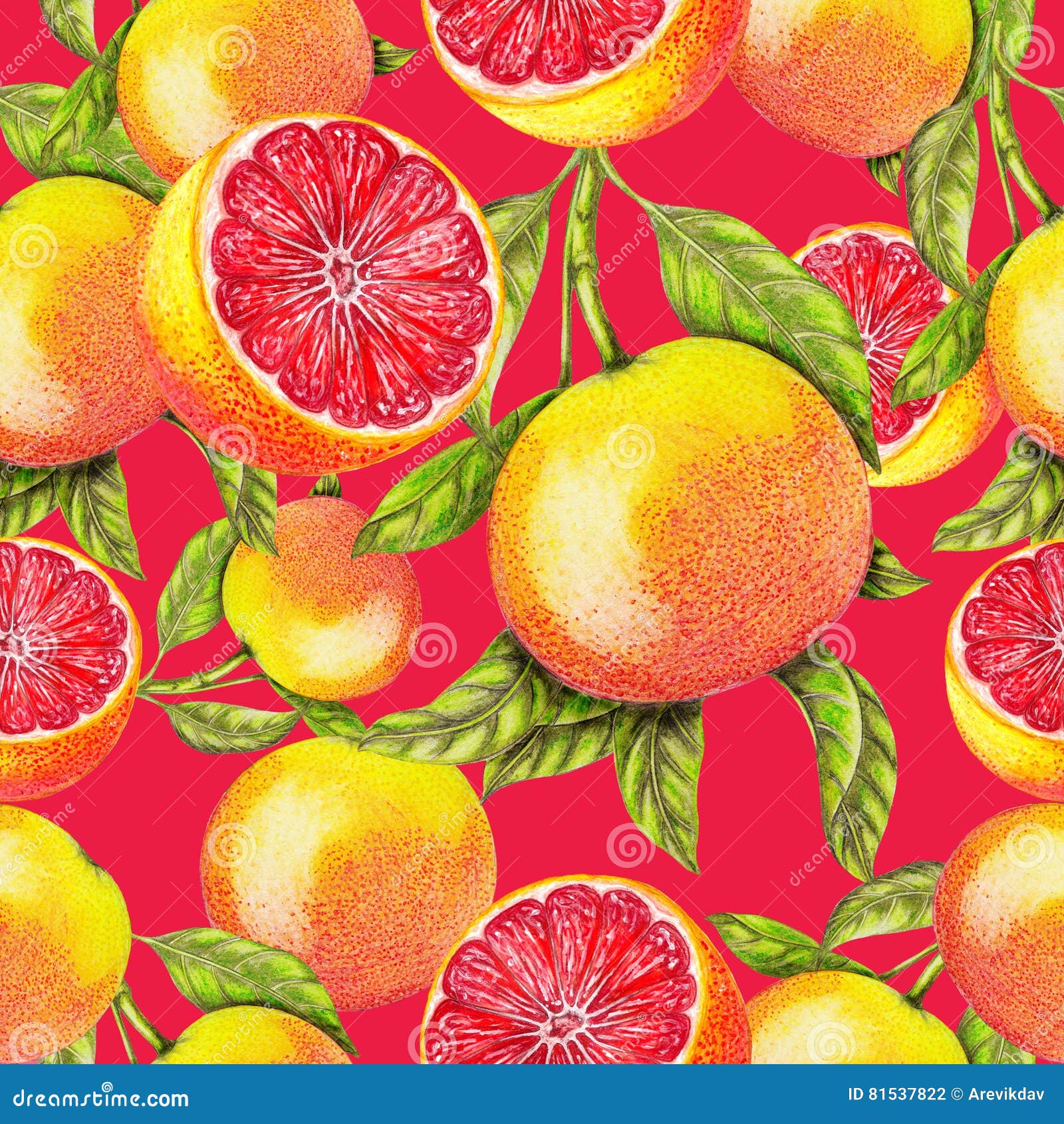 Seamless Pattern of Hand Drawn Grapefruit Stock Illustration ...