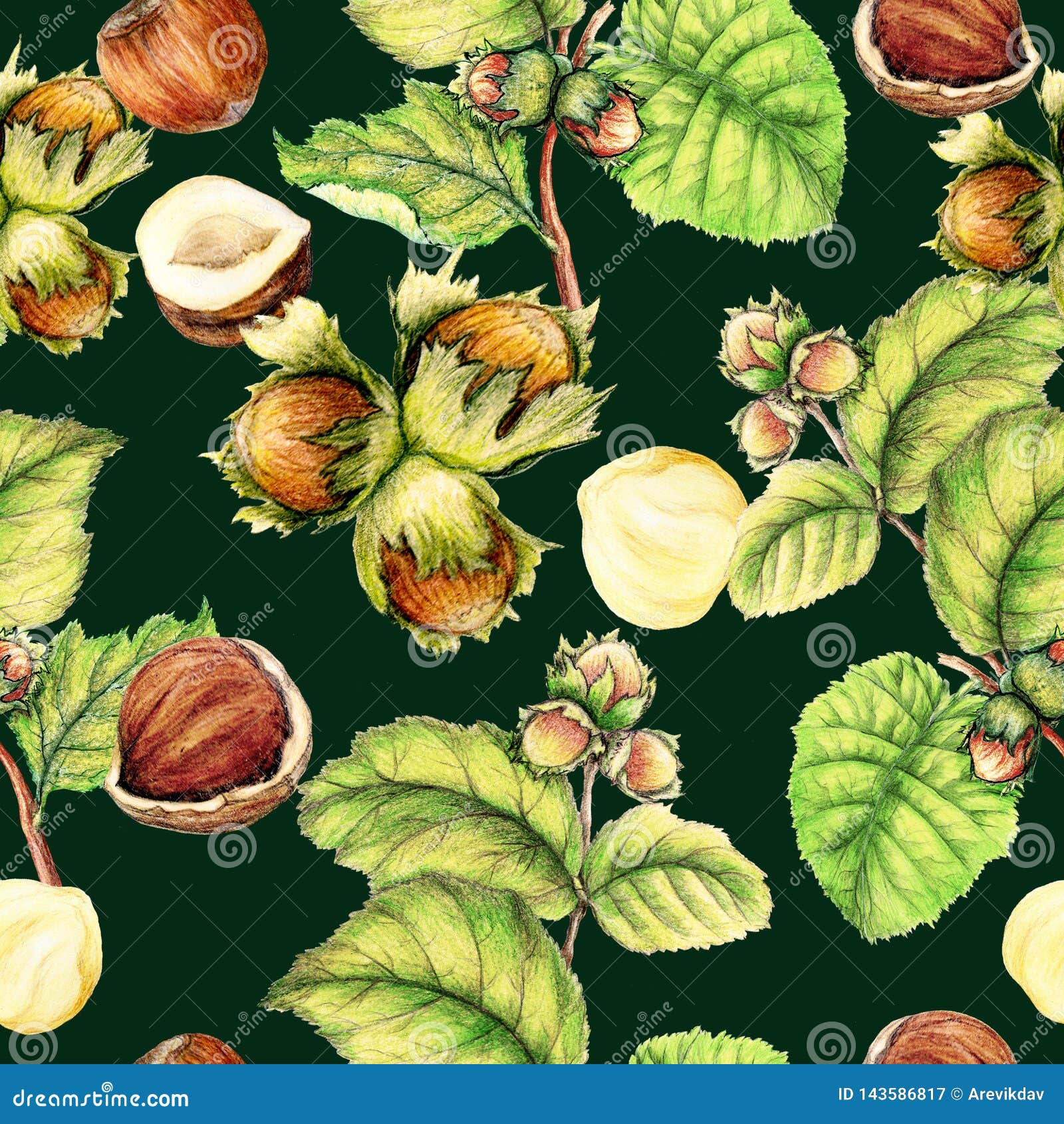 Seamless Pattern of Hand Drawn Hazelnuts Stock Illustration ...