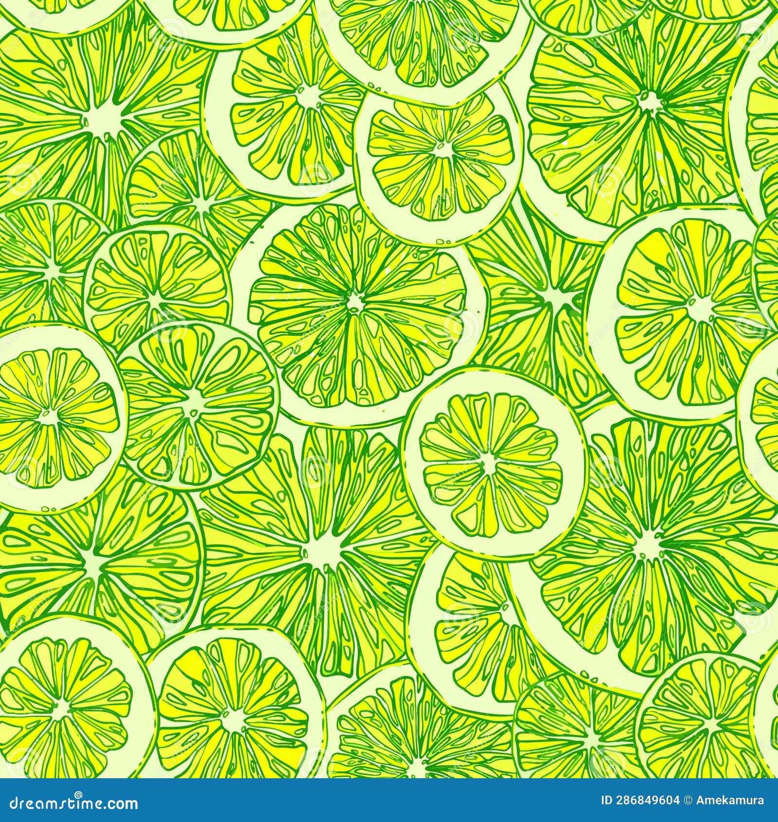 Seamless Pattern with Hand Drawing Cut Limes Stock Vector ...