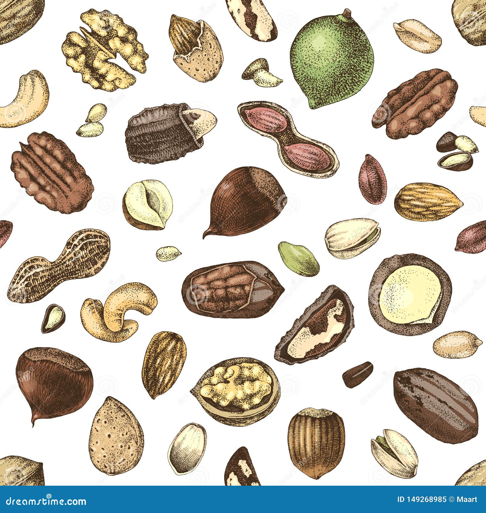Seamless Pattern with Hand Drawn Nuts. Stock Vector - Illustration of ...