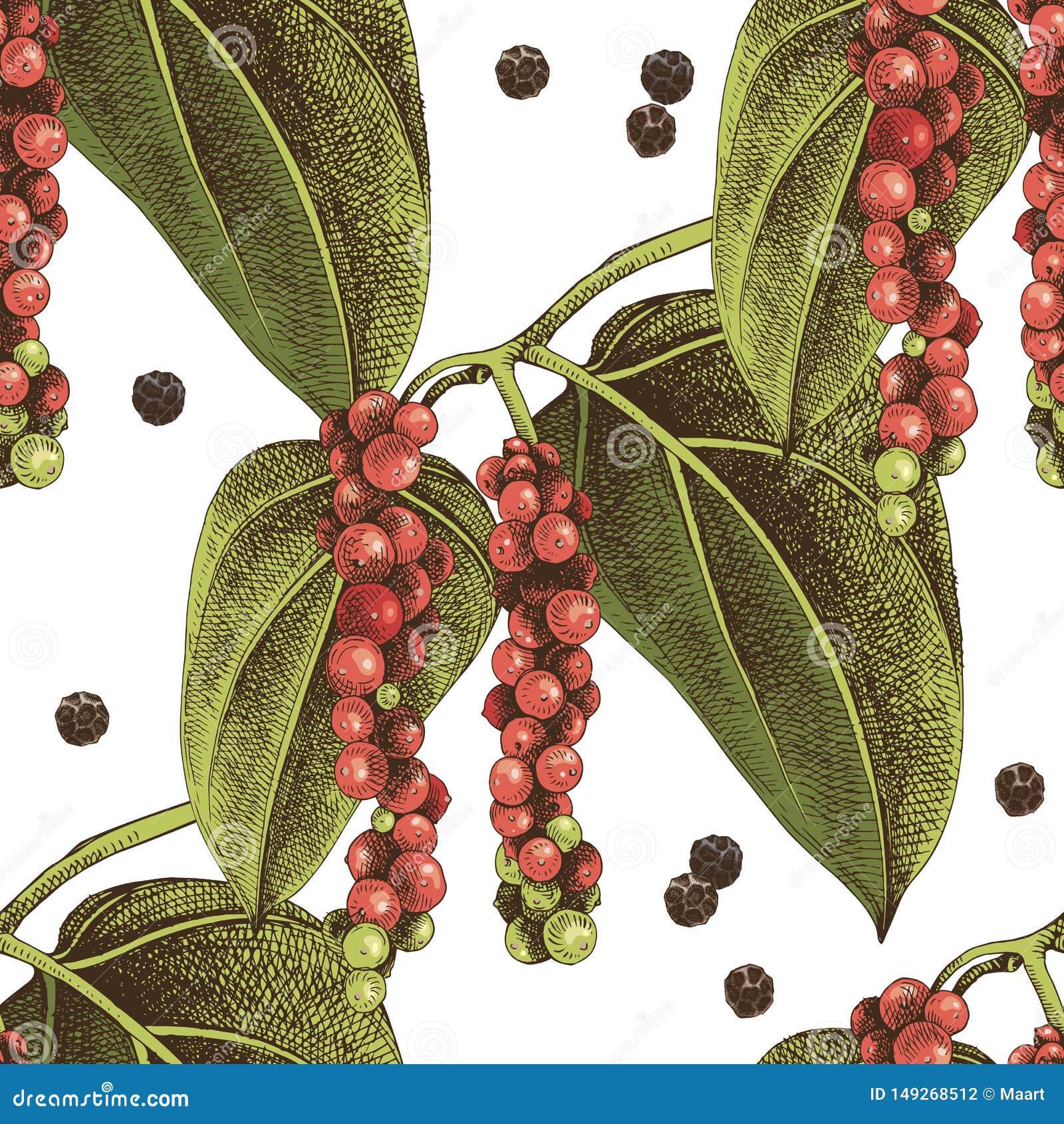 Seamless Pattern with Hand Drawn Pepper Plant Stock Illustration ...