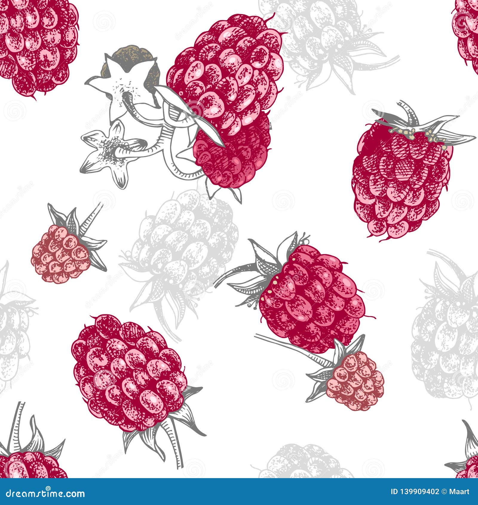 Seamless Pattern with Hand Drawn Raspberries Stock Vector ...