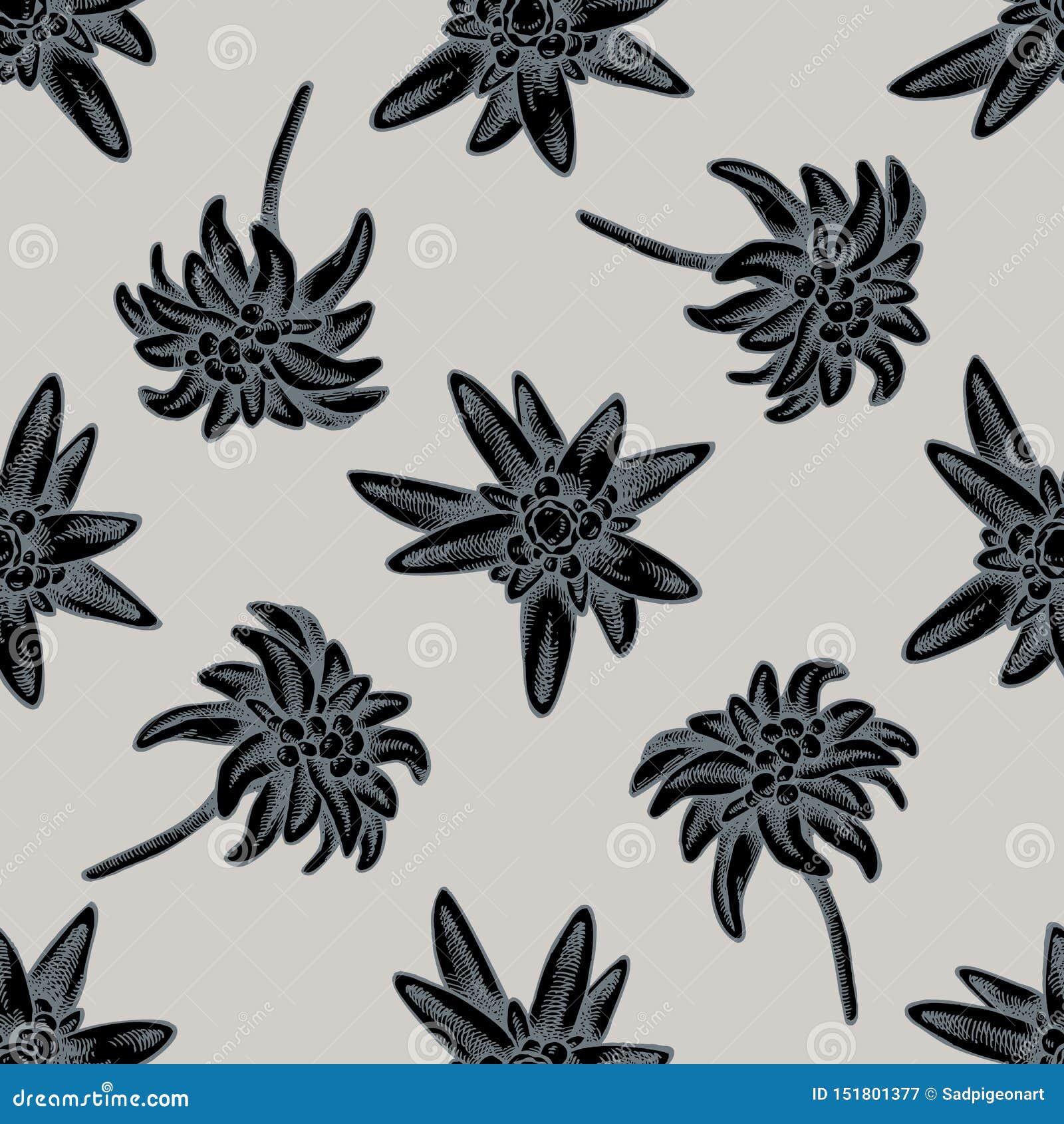 Seamless Pattern with Hand Drawn Stylized Edelweiss Stock Vector ...