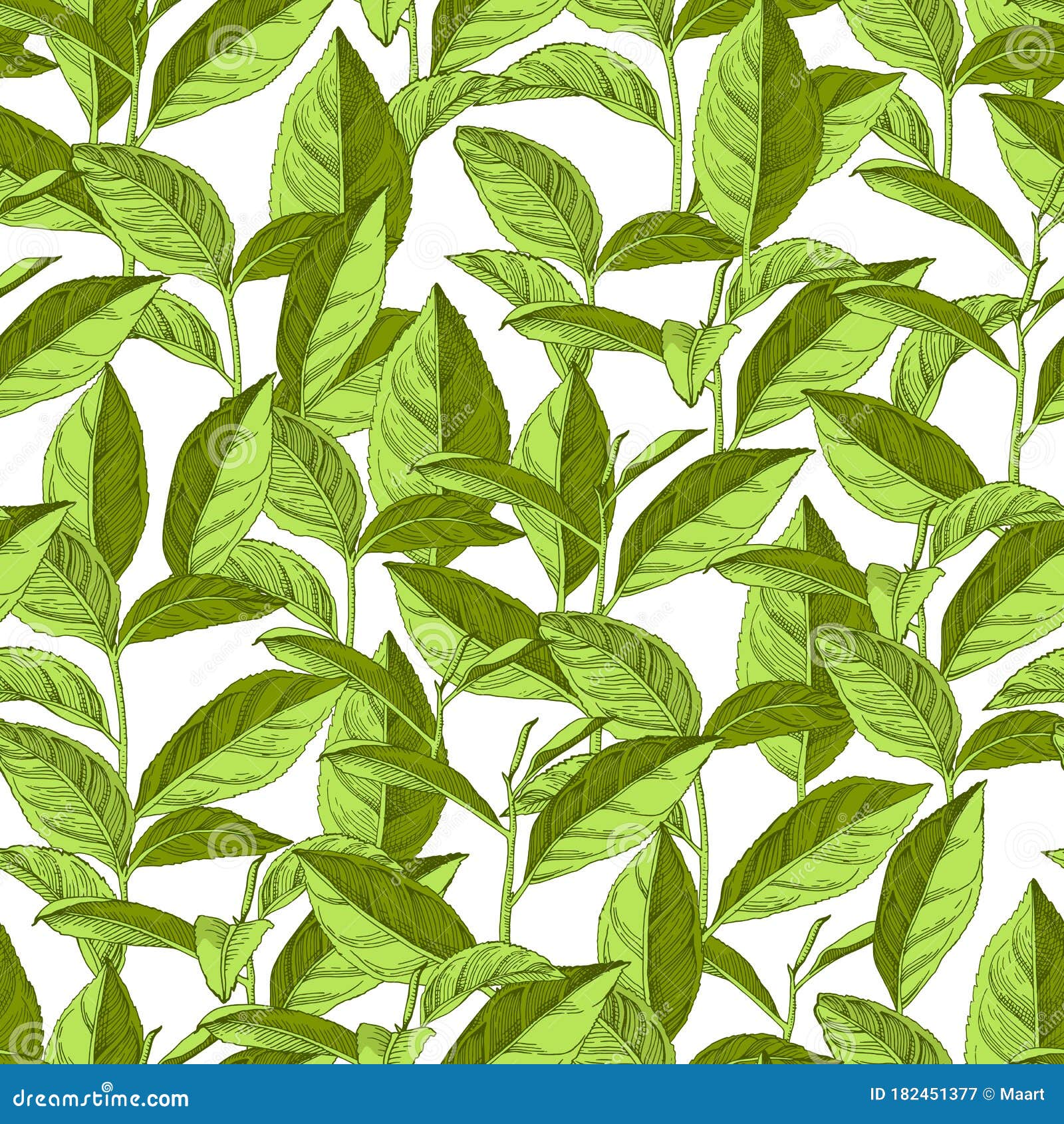 Seamless Pattern with Hand Drawn Tea Leaves and Branches Stock Vector ...