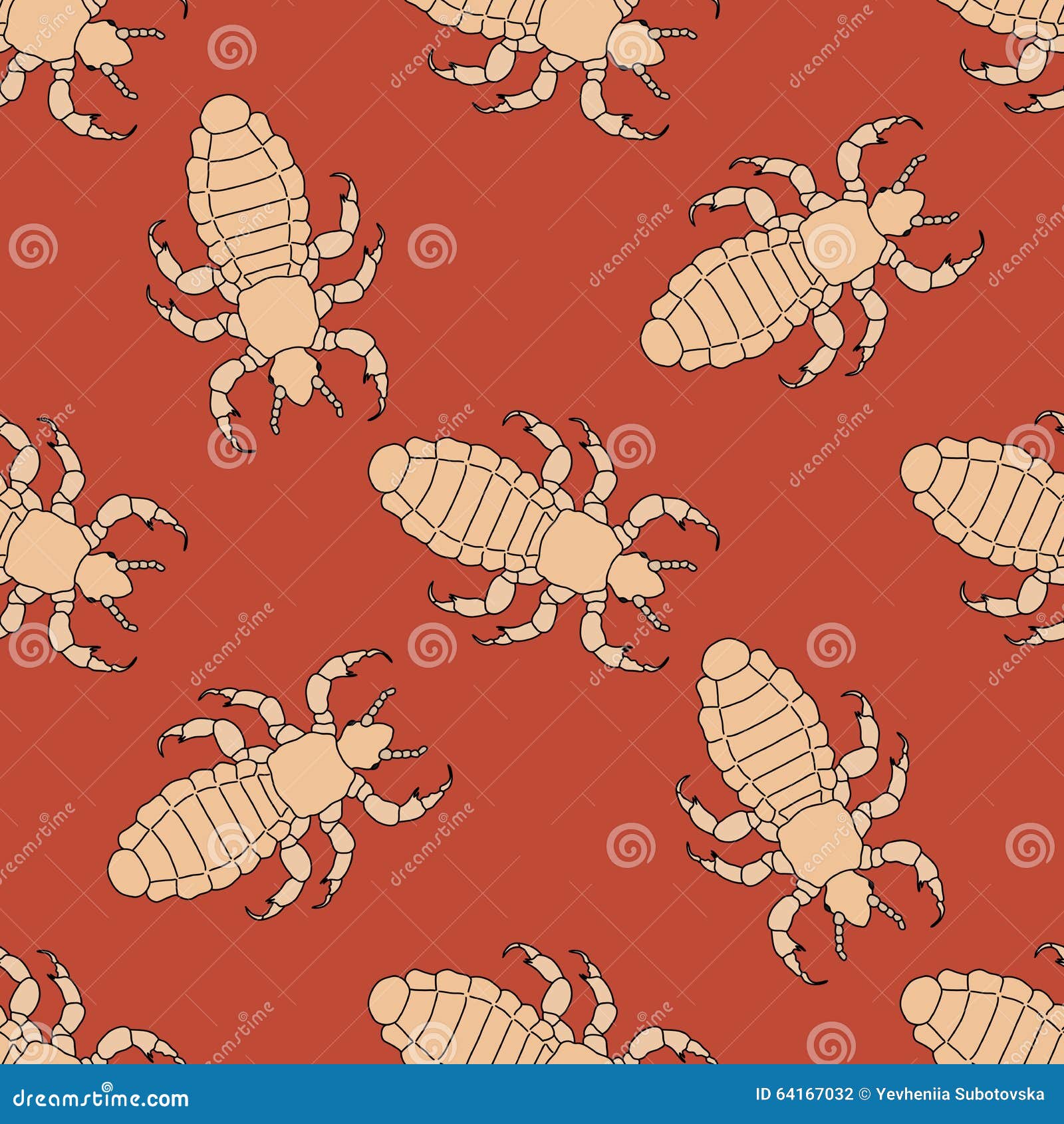 Seamless Pattern with Head Human Louse. Pediculus Humanus Capitis Stock ...
