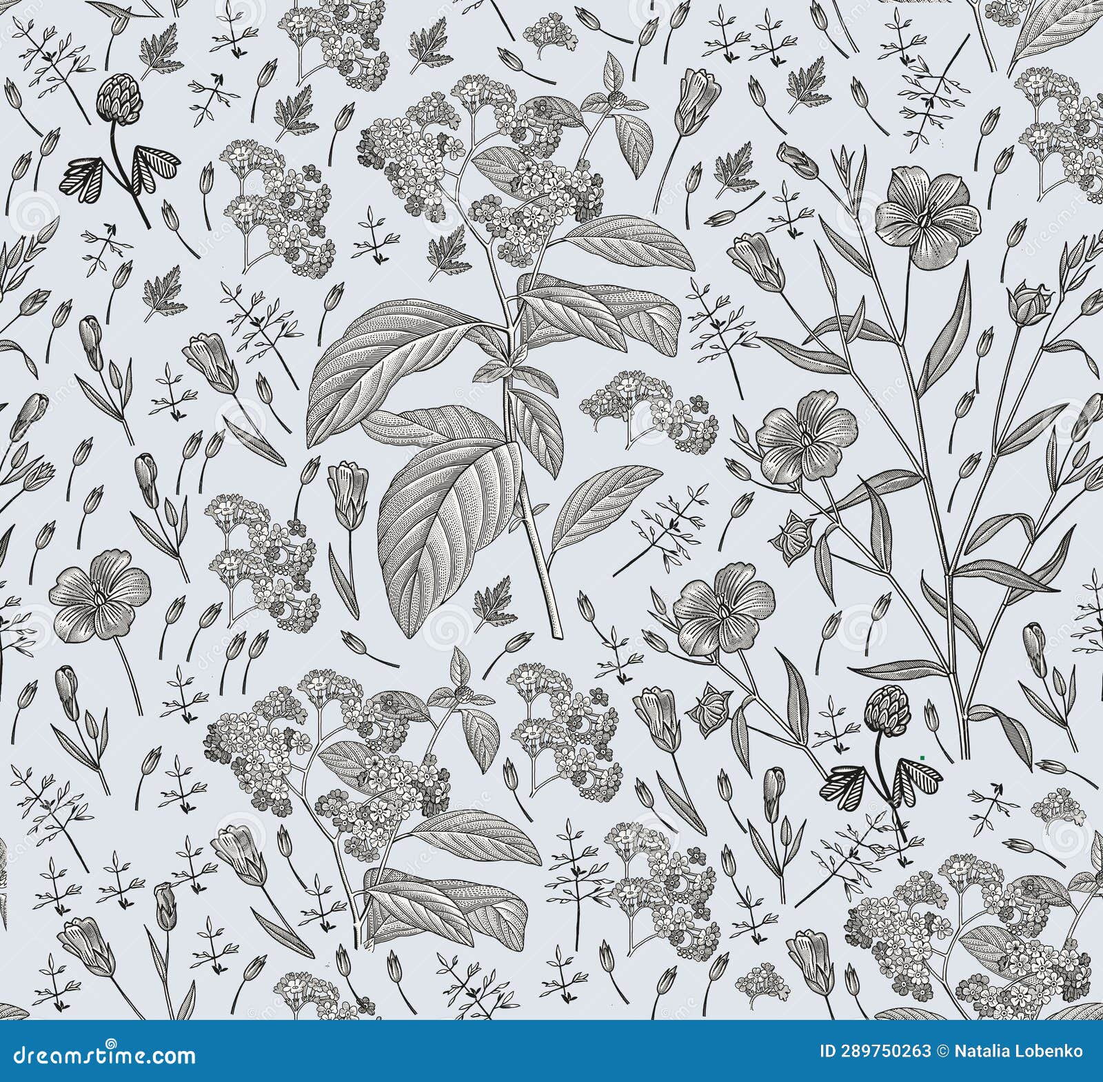 Seamless Pattern Heliotrope Flax Isolated Flowers Vintage Background ...
