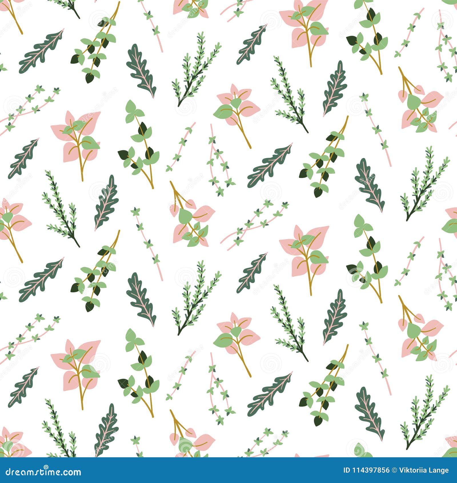 Seamless Pattern with Herbs. Stock Vector - Illustration of leaf, fresh ...