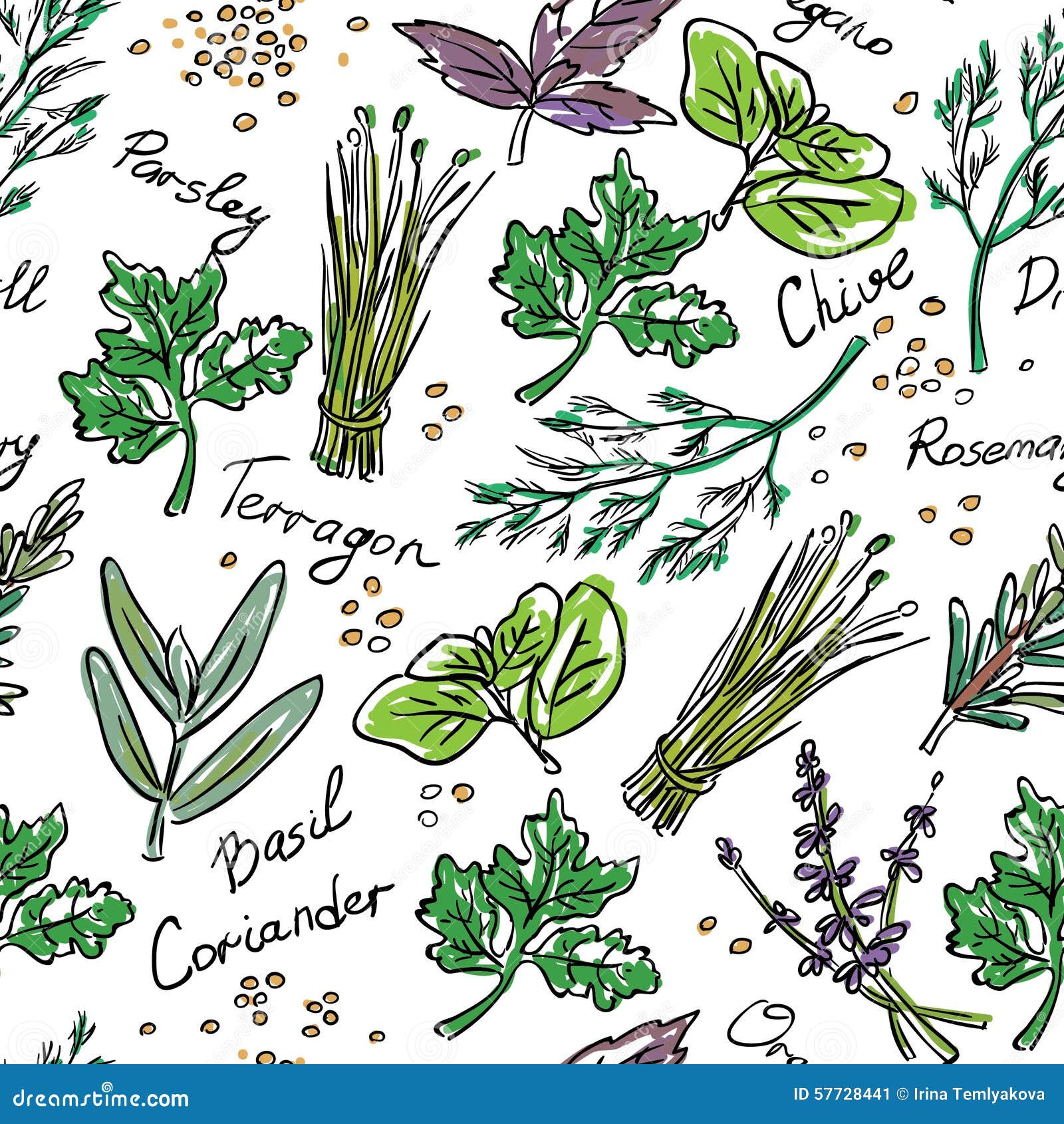 Seamless Pattern Herbs Set, Vector Hand Drawn Illustration Stock Vector ... Seamless Pattern Herbs Set, Vector Hand Drawn Illustration Stock Vector ...