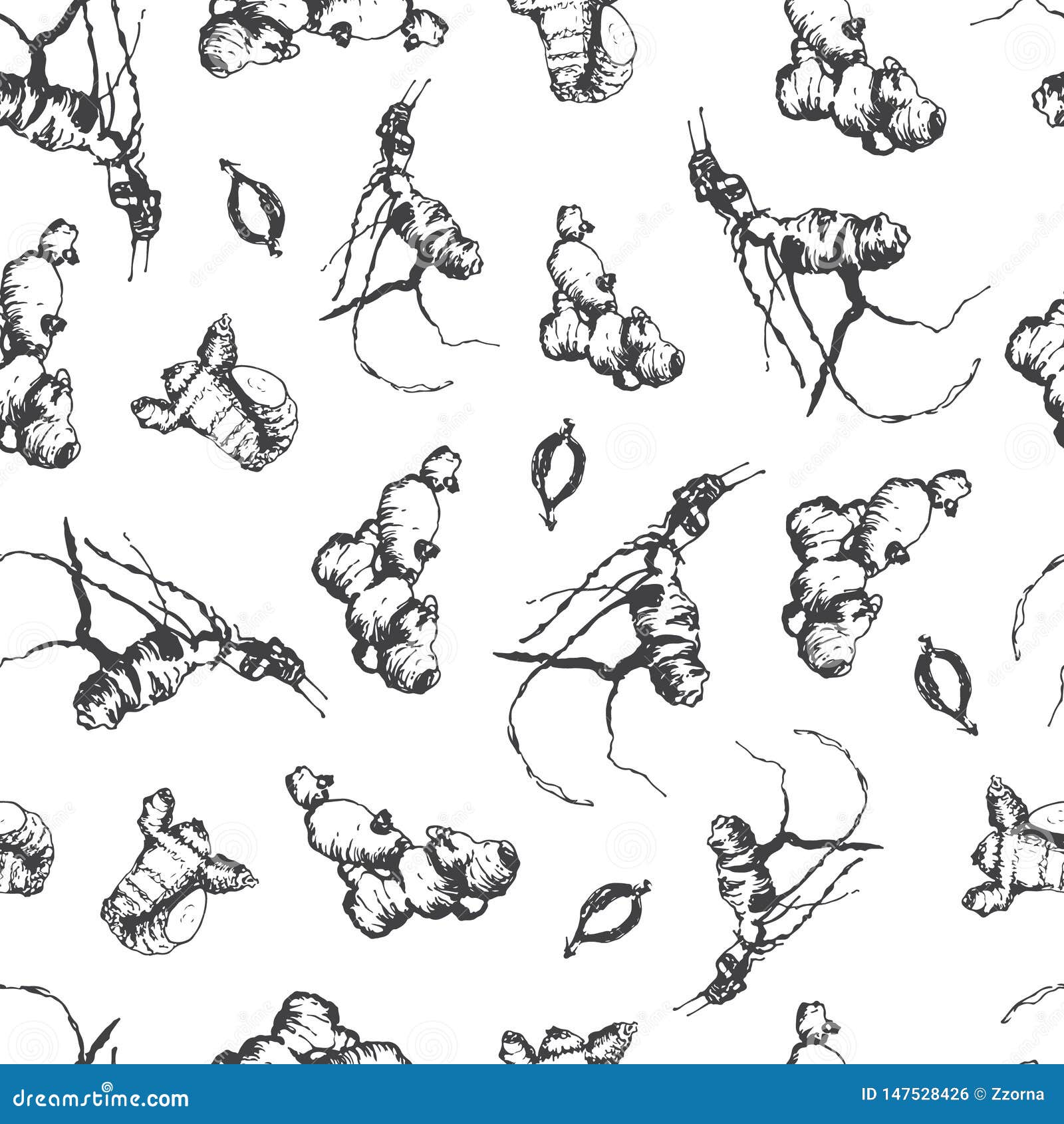 Ginger roots pattern stock vector. Illustration of hand - 147528426