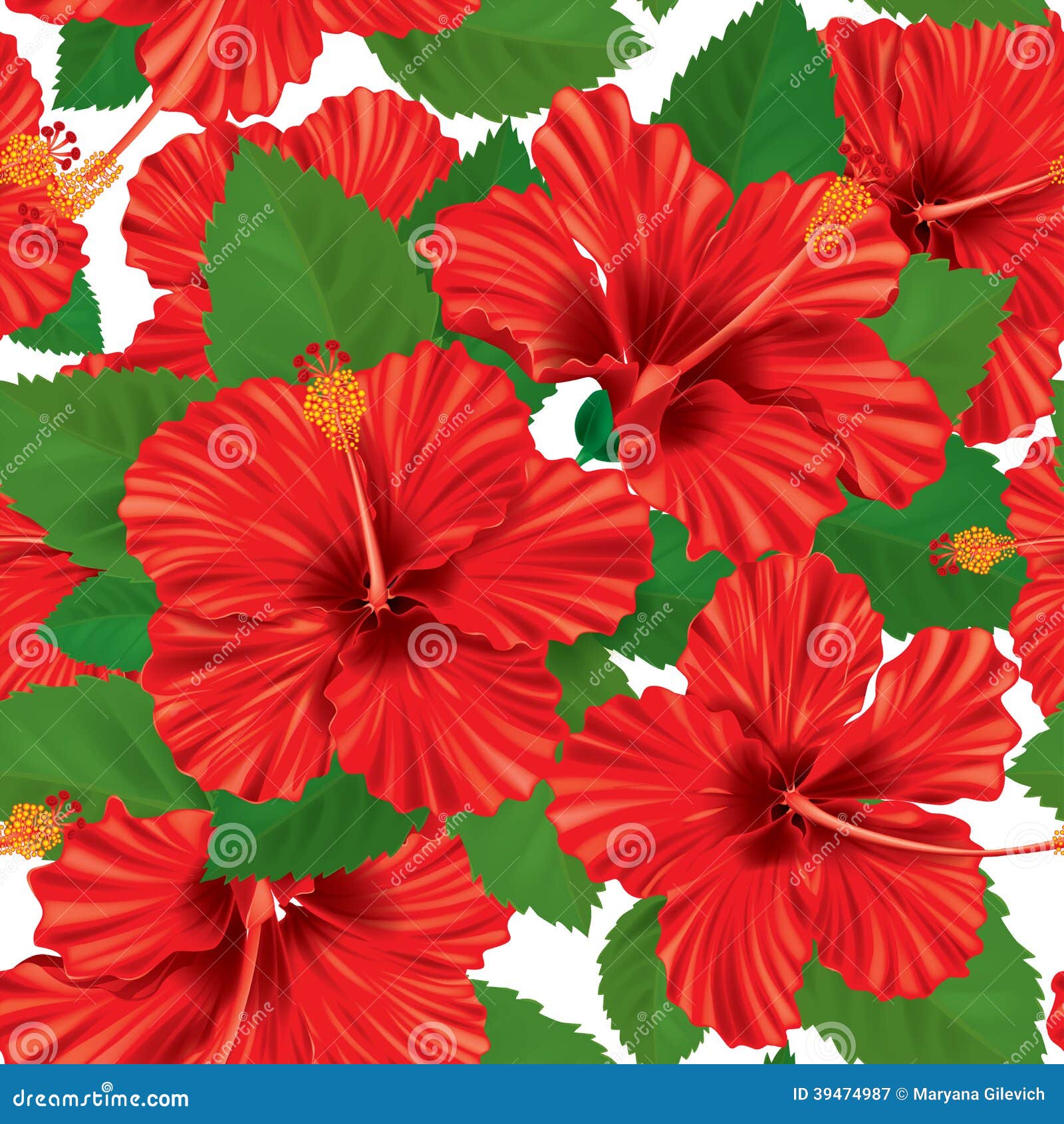 Seamless Pattern of Hibiscus Stock Vector - Illustration of nature ...