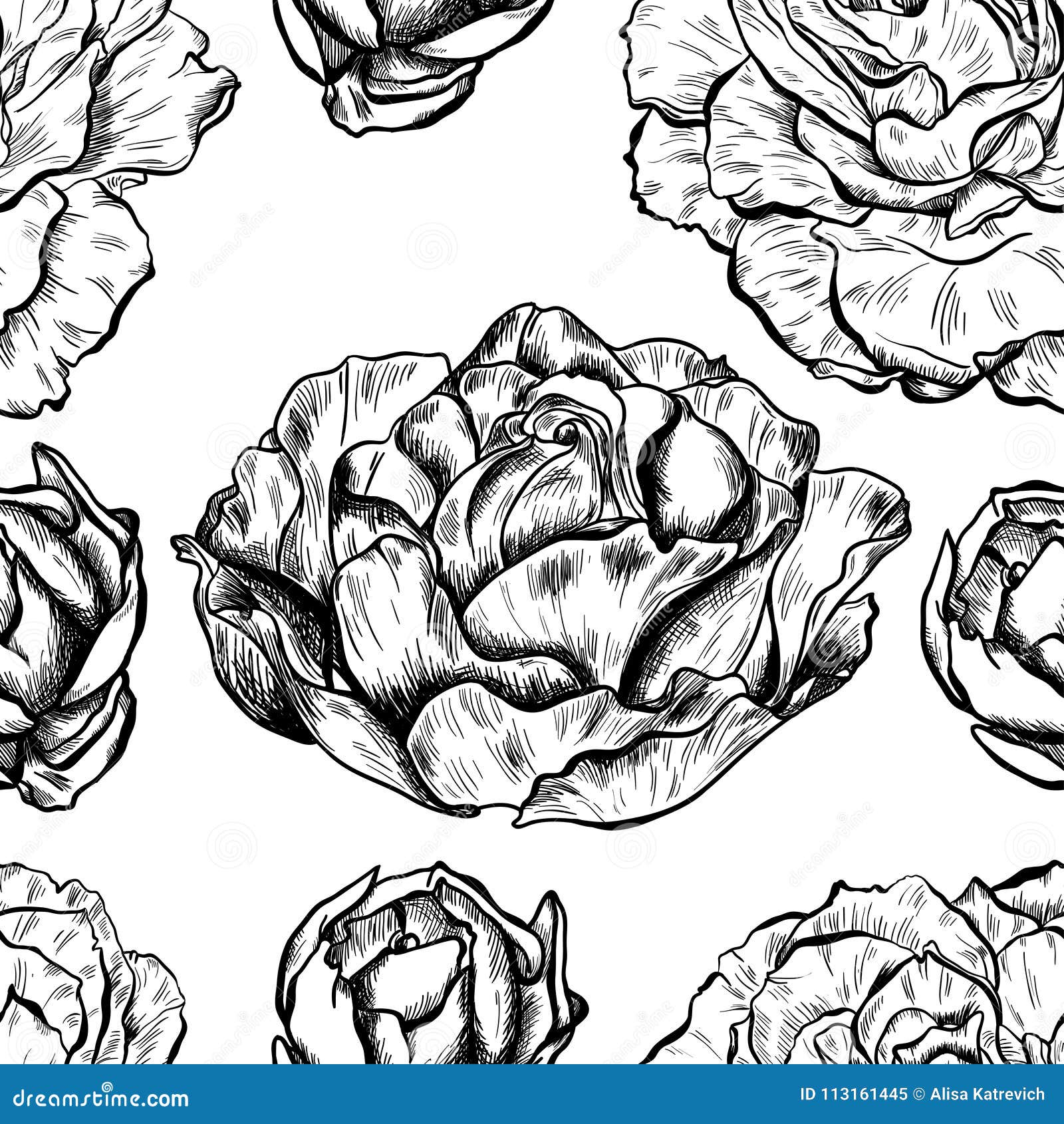 Seamless Pattern of Highly Detailed Hand Drawn Roses Isolated on White ...
