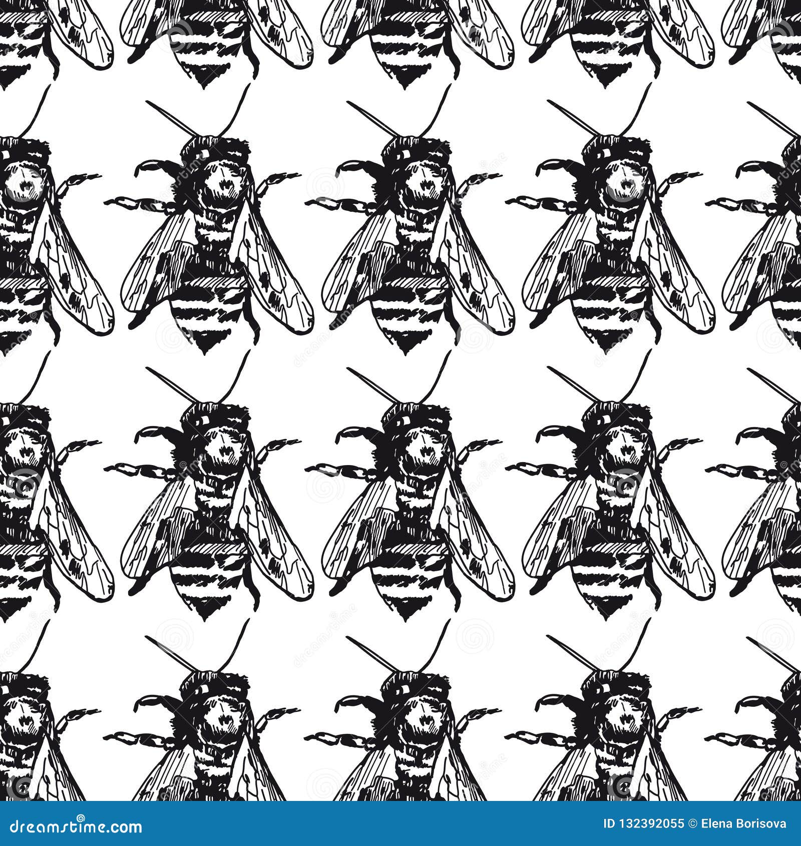 Seamless Pattern with Honey Bee. Vector Hand Drawn. Stock Vector ...