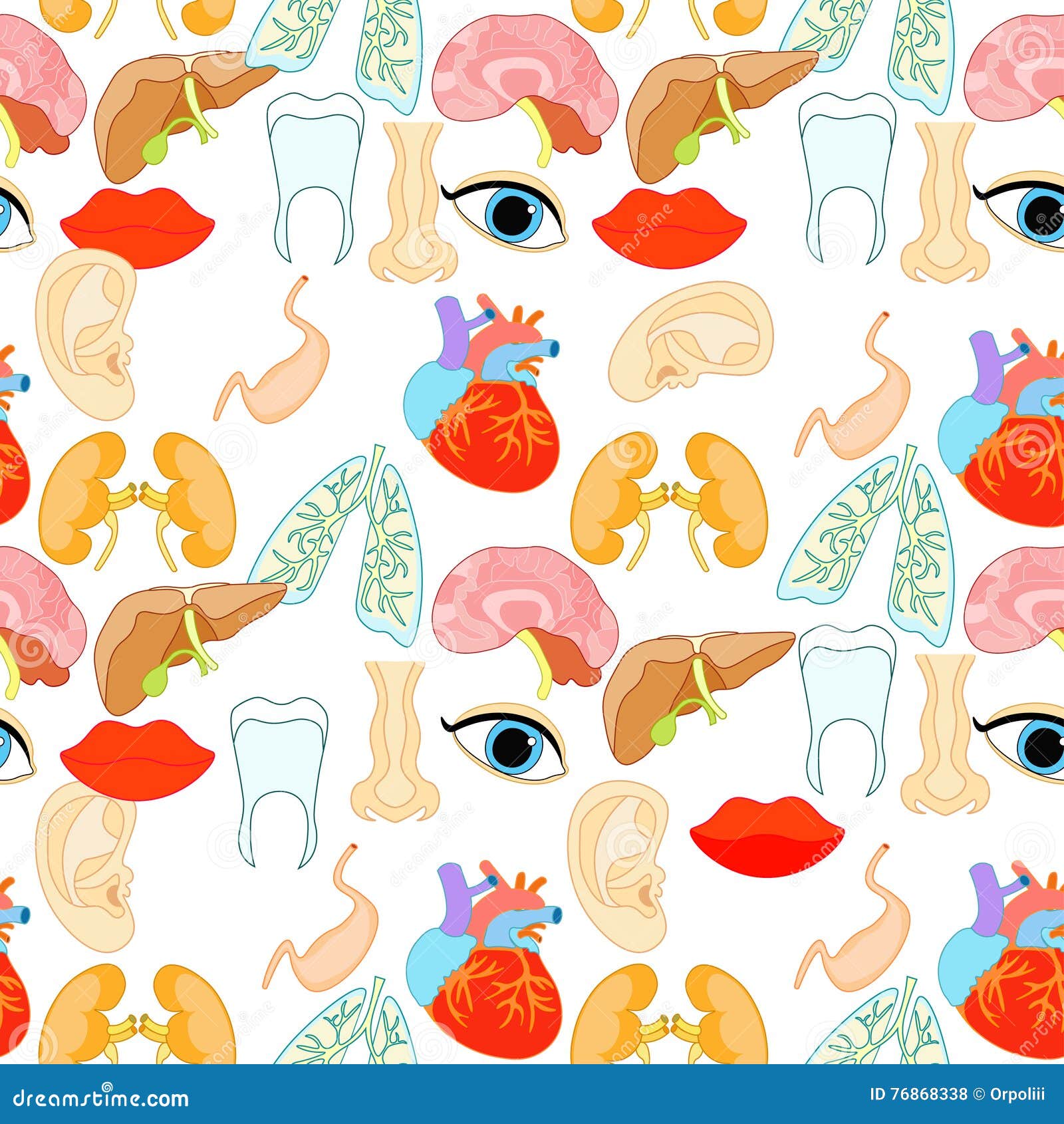 Seamless Pattern of Human Organs in the Body and Face. Vector Il Stock ...
