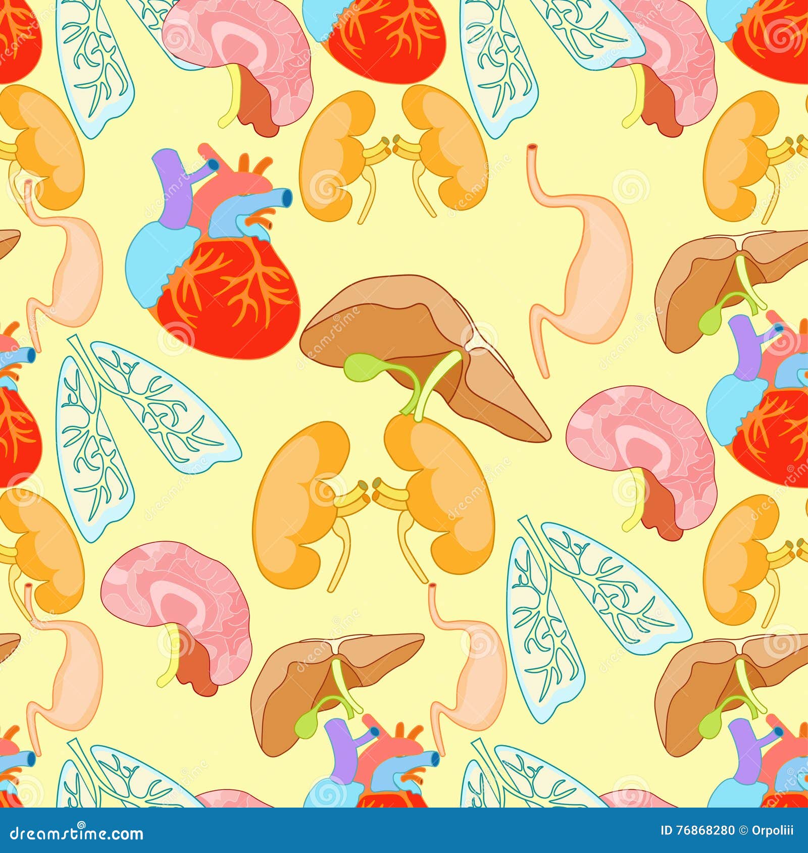 Seamless Pattern of Human Organs Heart, Lungs, Liver, Kidneys, B Stock ...