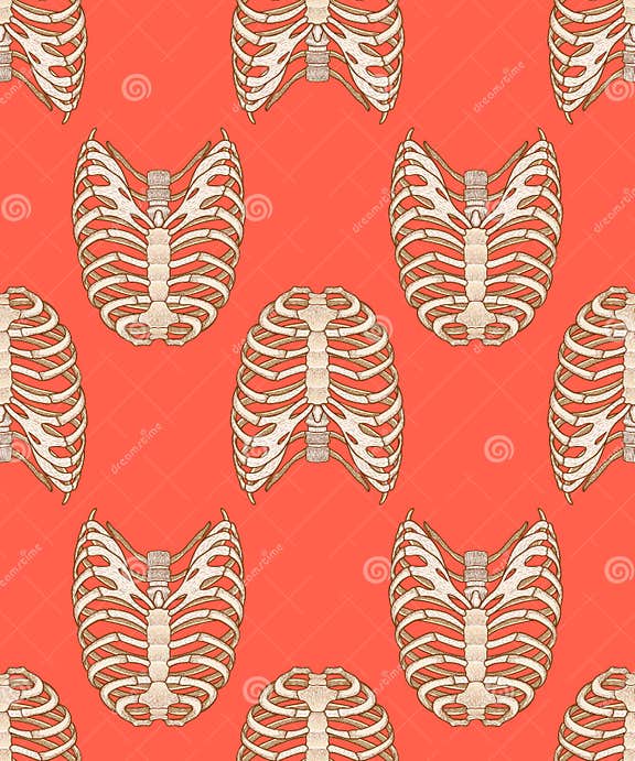 Seamless Pattern with Human Rib Cage. Line Art Style. Boho Vector ...