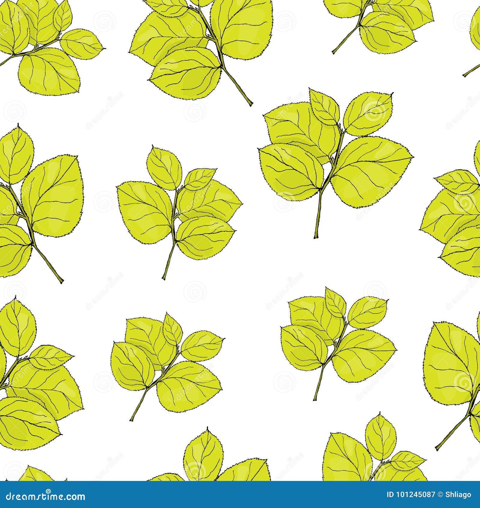 Seamless Pattern Hydrangea Leaf. Colored Illustration on White Stock ...