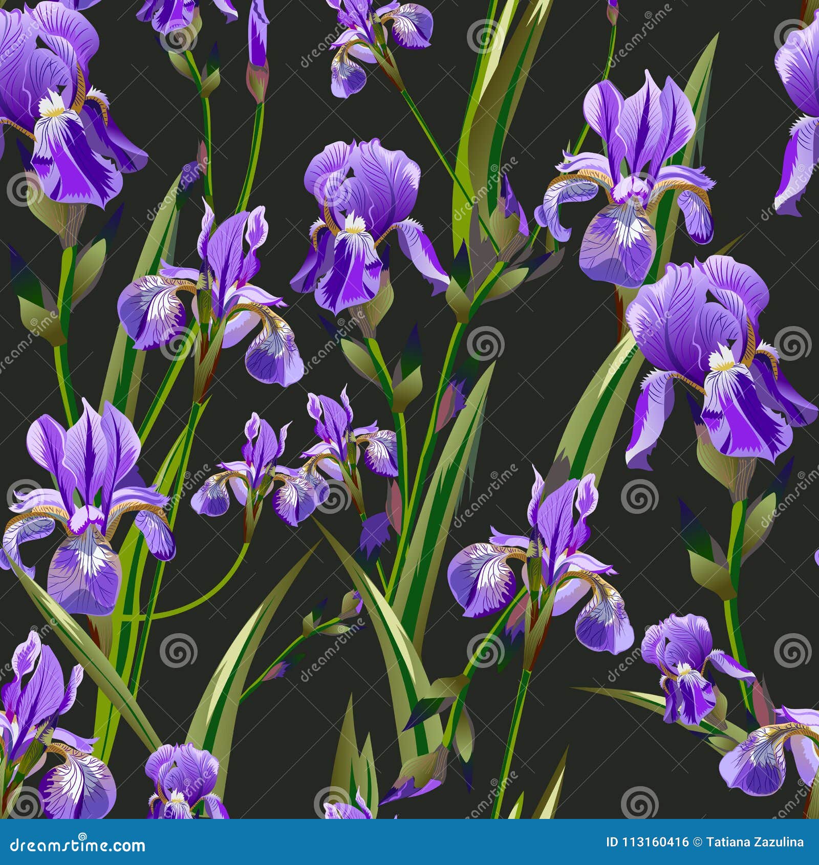 Seamless Pattern with Iris Flowers Stock Vector - Illustration of ...